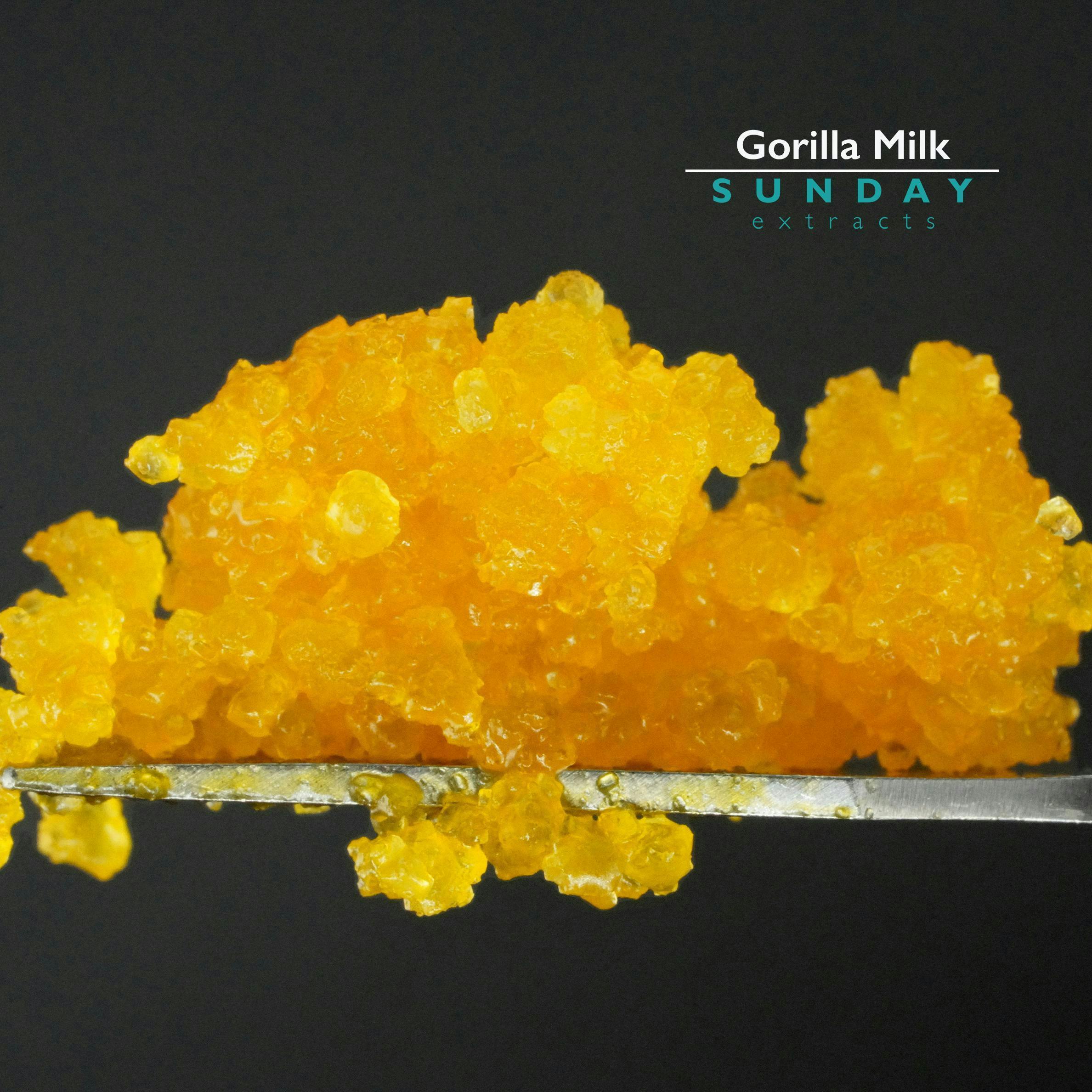 3.5g Concentrate Gorilla Milk - Sunday Extracts