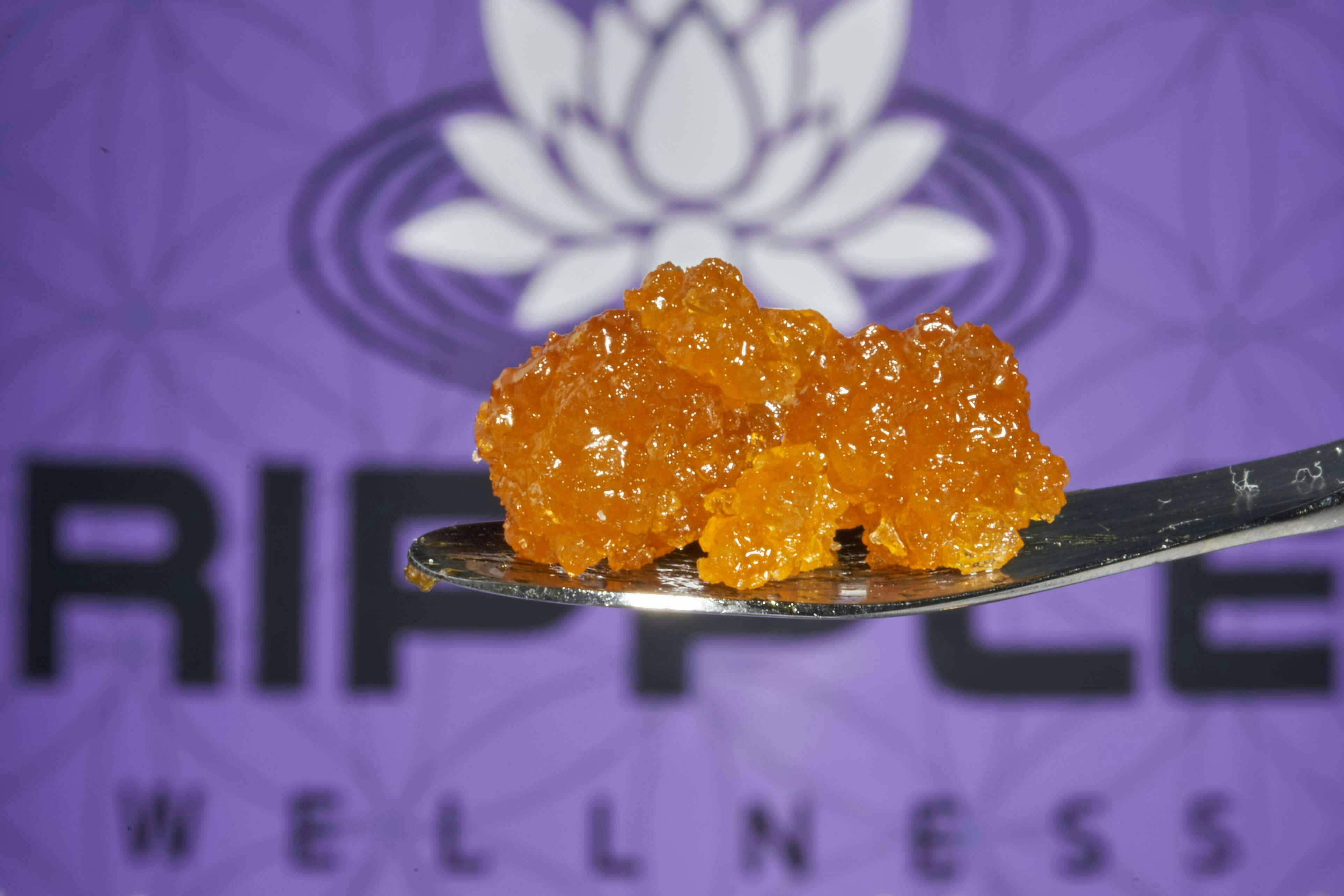 Concentrate - Live Sugar - Triangle Mints - Ripple Wellness