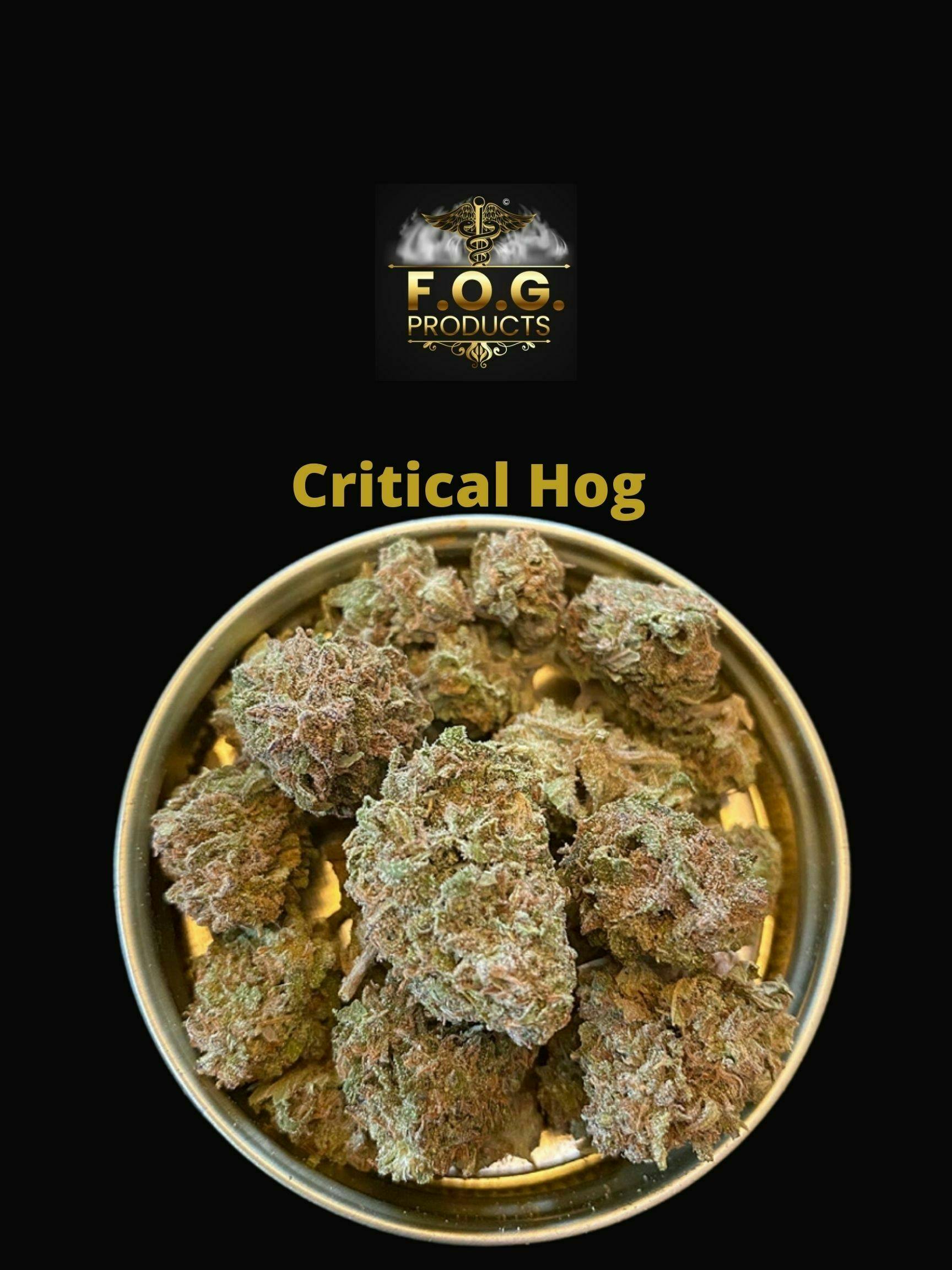 Critical Hog (Indica-smaller buds) - FOG Products