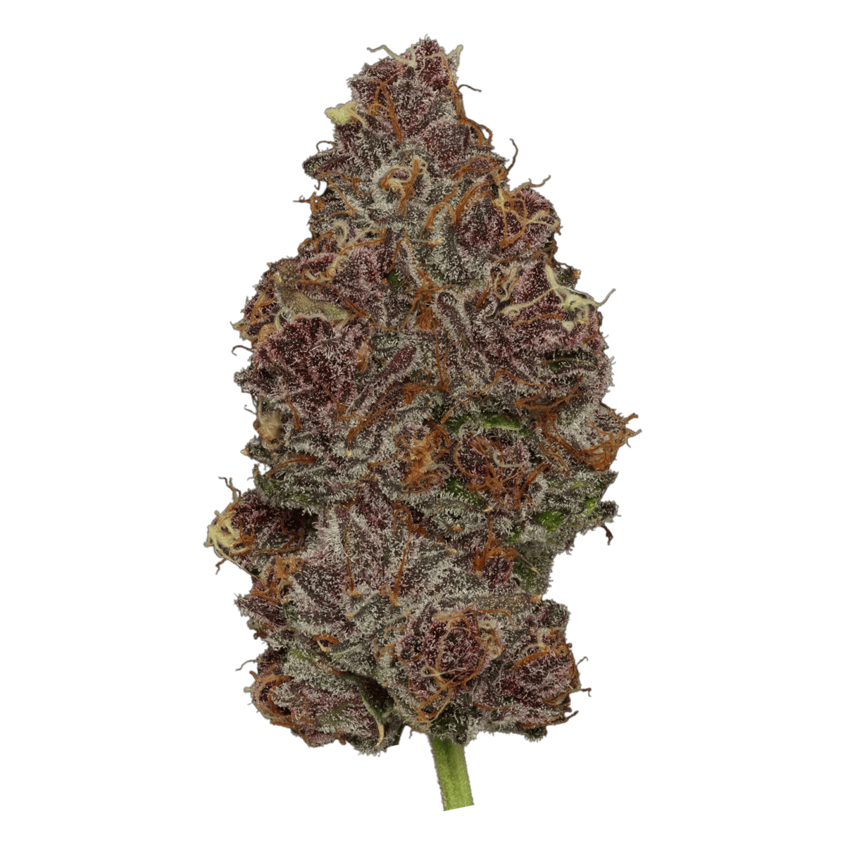 Tropicana Cherry Deli Flower - Enlighten