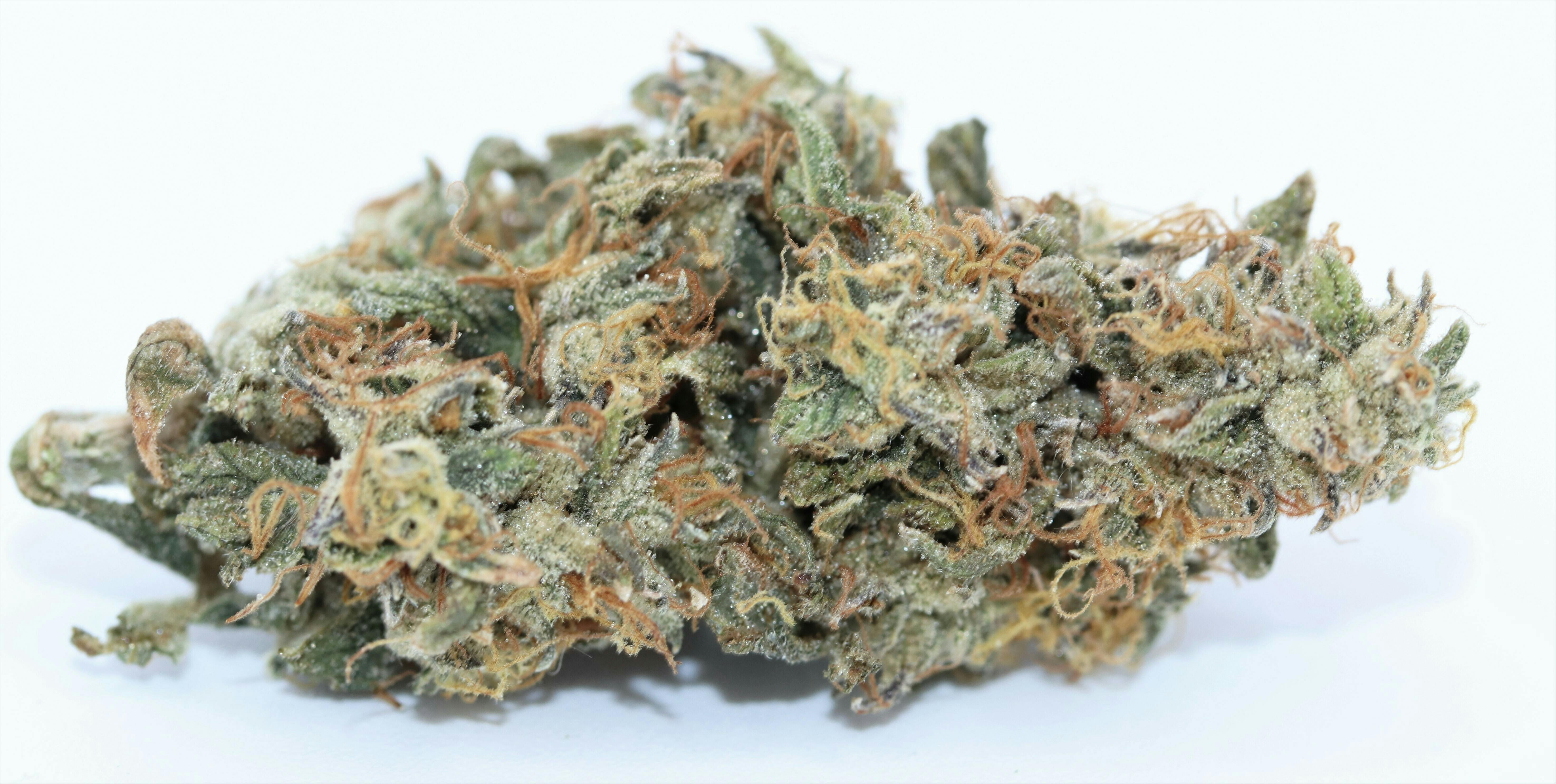 Fire OG - Elevation 207