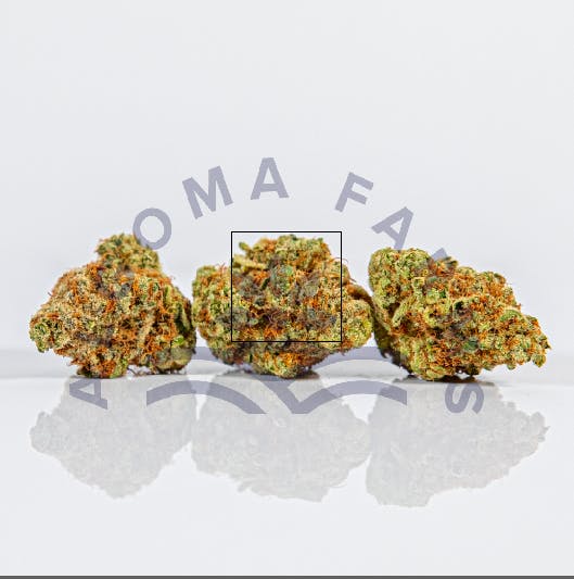 Orange Cream - Algoma Farms Orange Cream - Algoma Farms