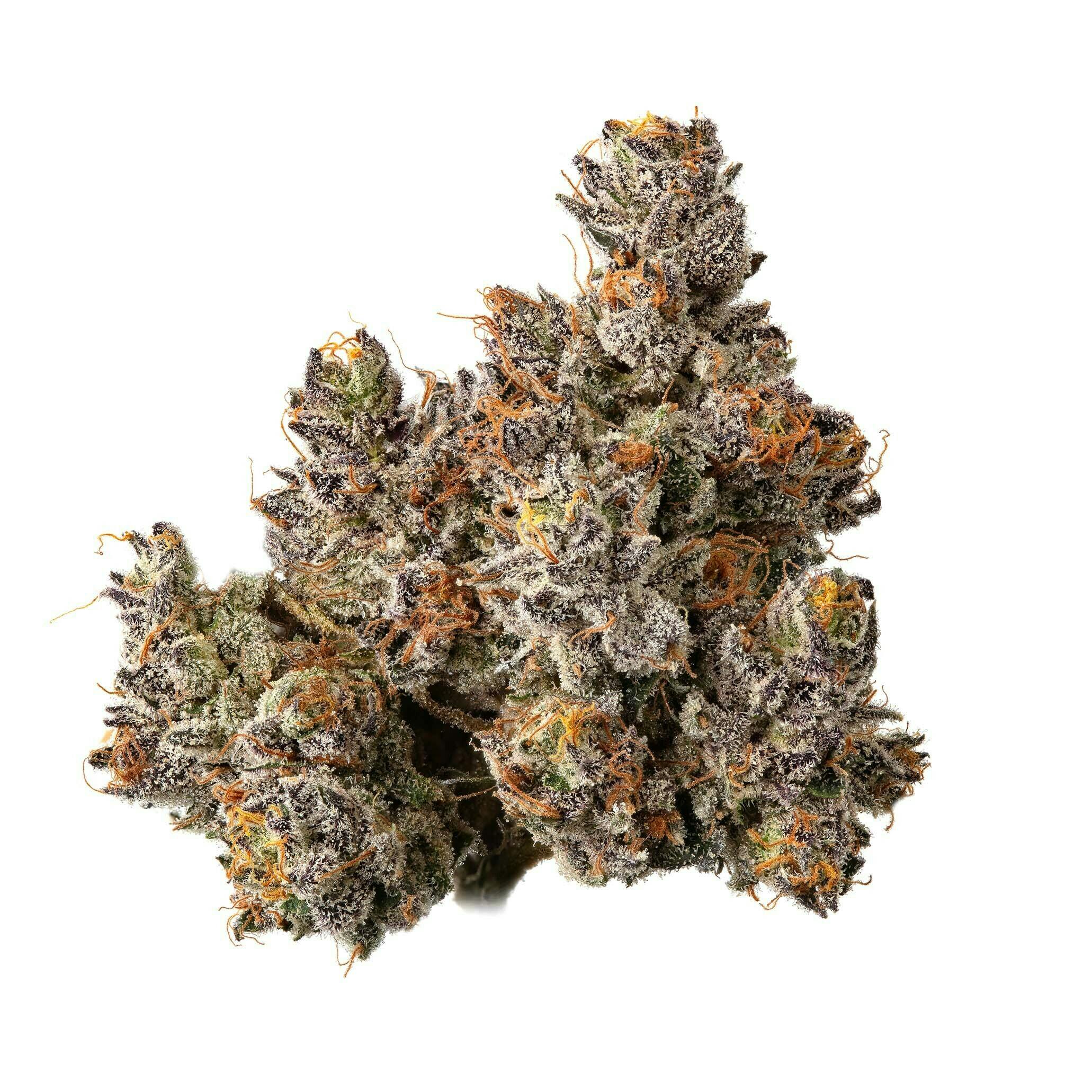 Fudge Ripple - Unicorn Tears