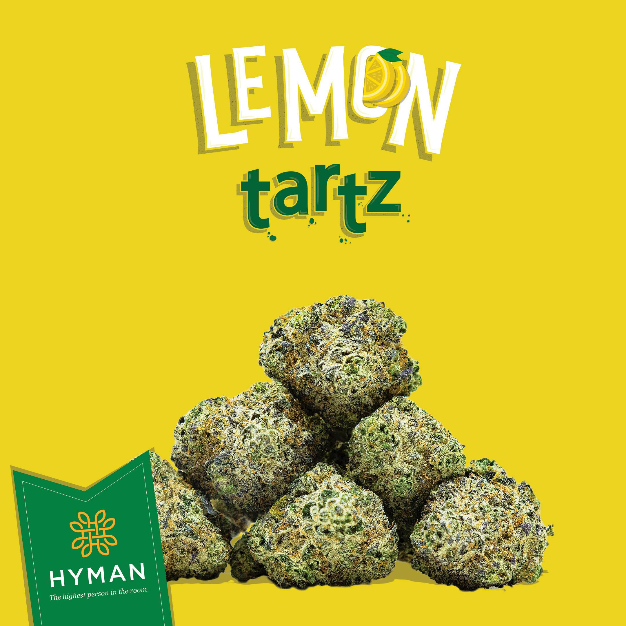 Lemon Tartz | 3.5G Pre-Pack | HYMAN | MED - HYMAN