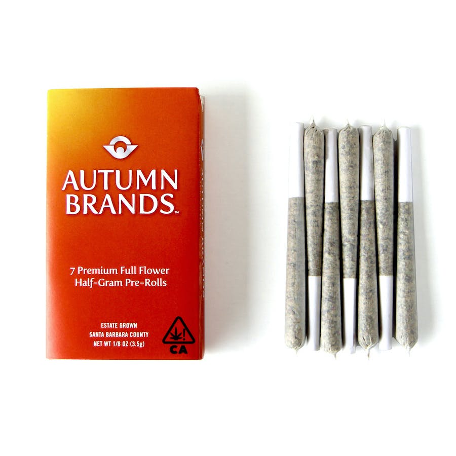 Blueberry Cupcake Preroll 7 Pack (.5g each) - Autumn Brands