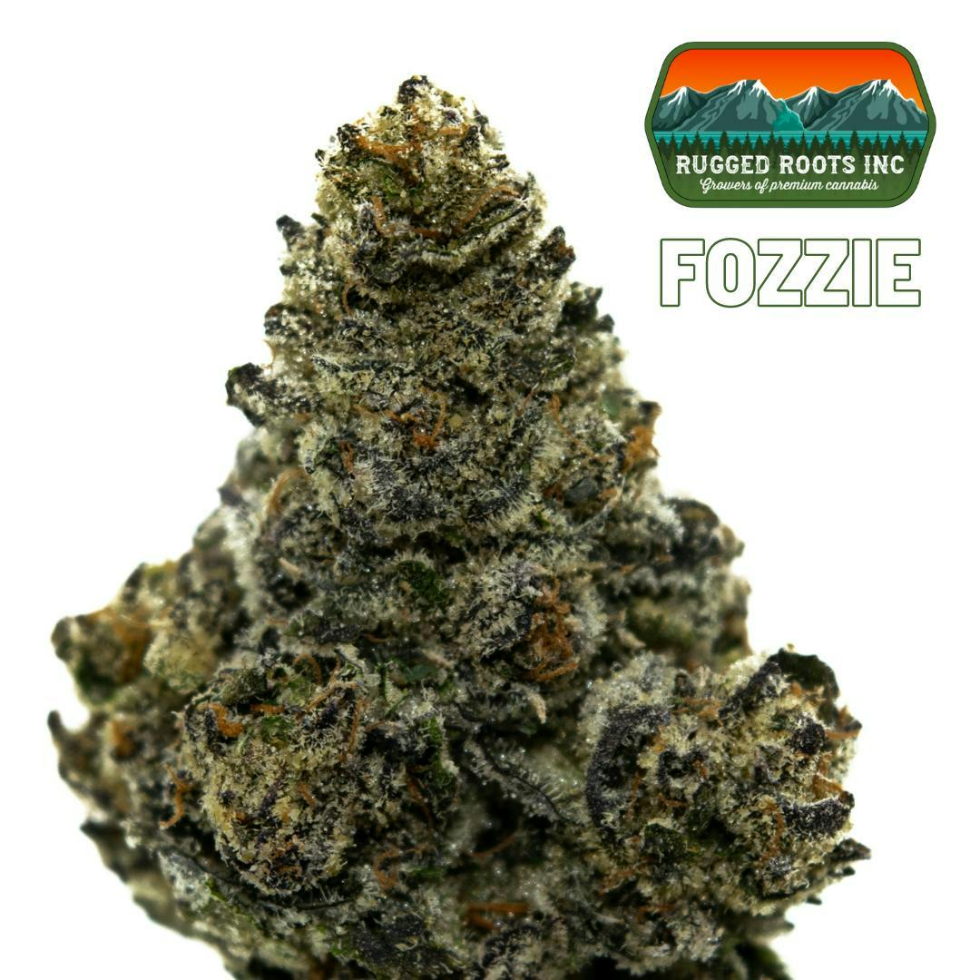Rugged Roots - Fozzie 3.5g Flower - Rugged Roots