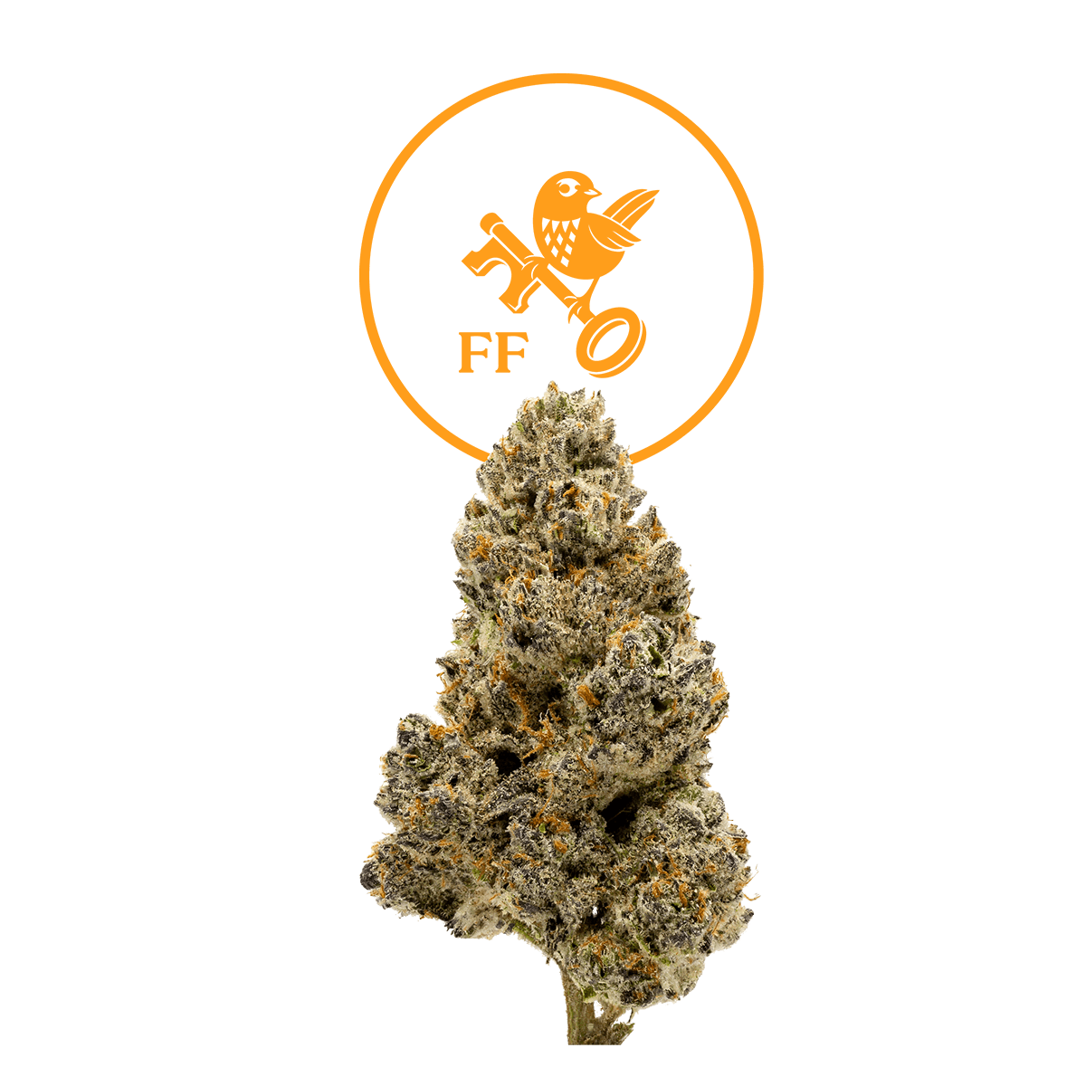 Planted Provisioning - Whitmore Lake, Michigan Marijuana Dispensary