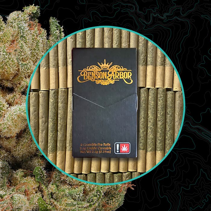 South Fork Kush 56 6-Pack - Benson Arbor