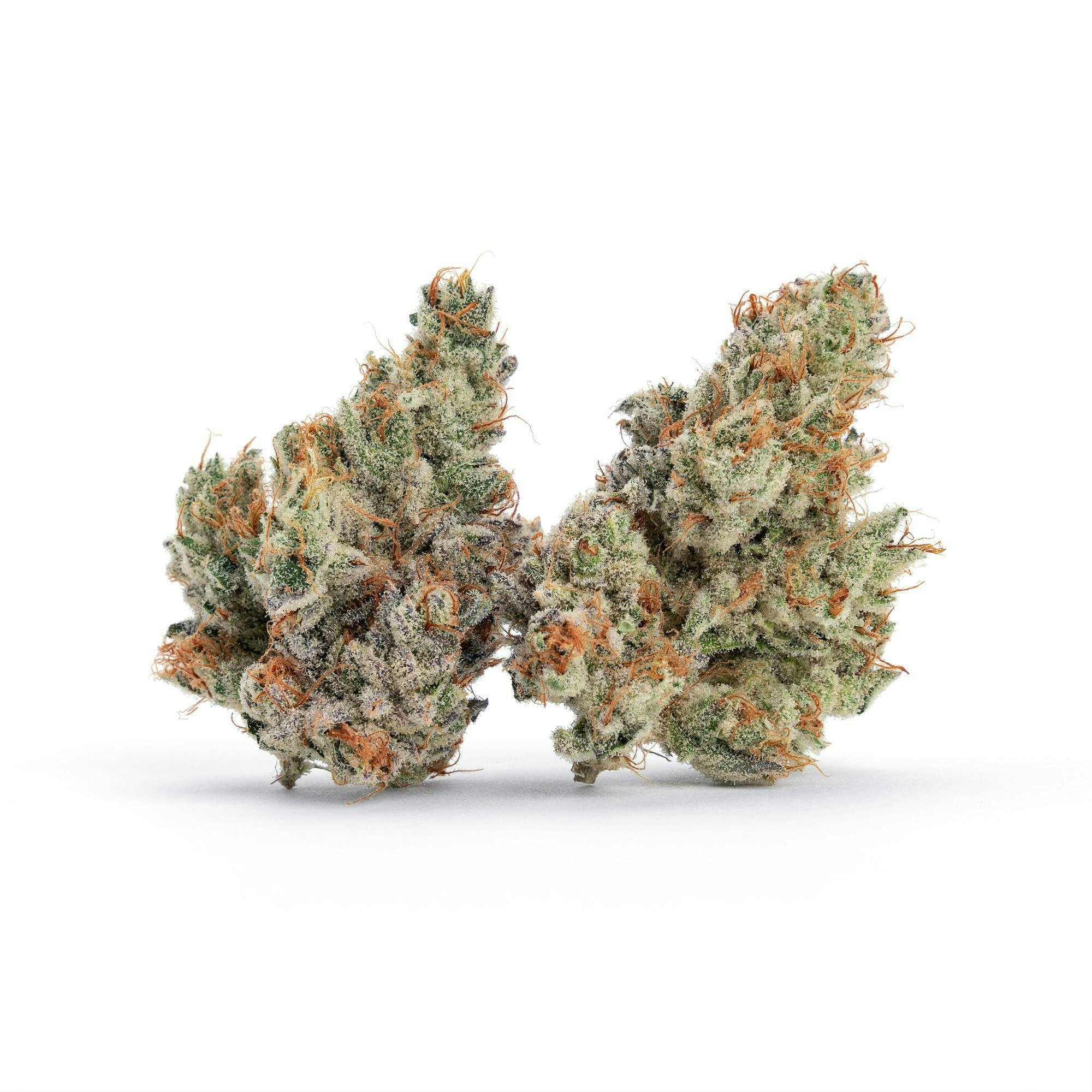 Flower - Jelly Rancher 70/30 Sativa Dominant - Zero Gravity Cannabis