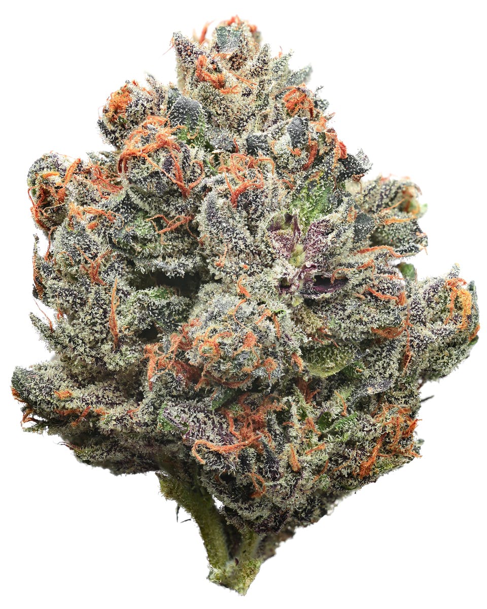 God's Gift - Fire Bros.