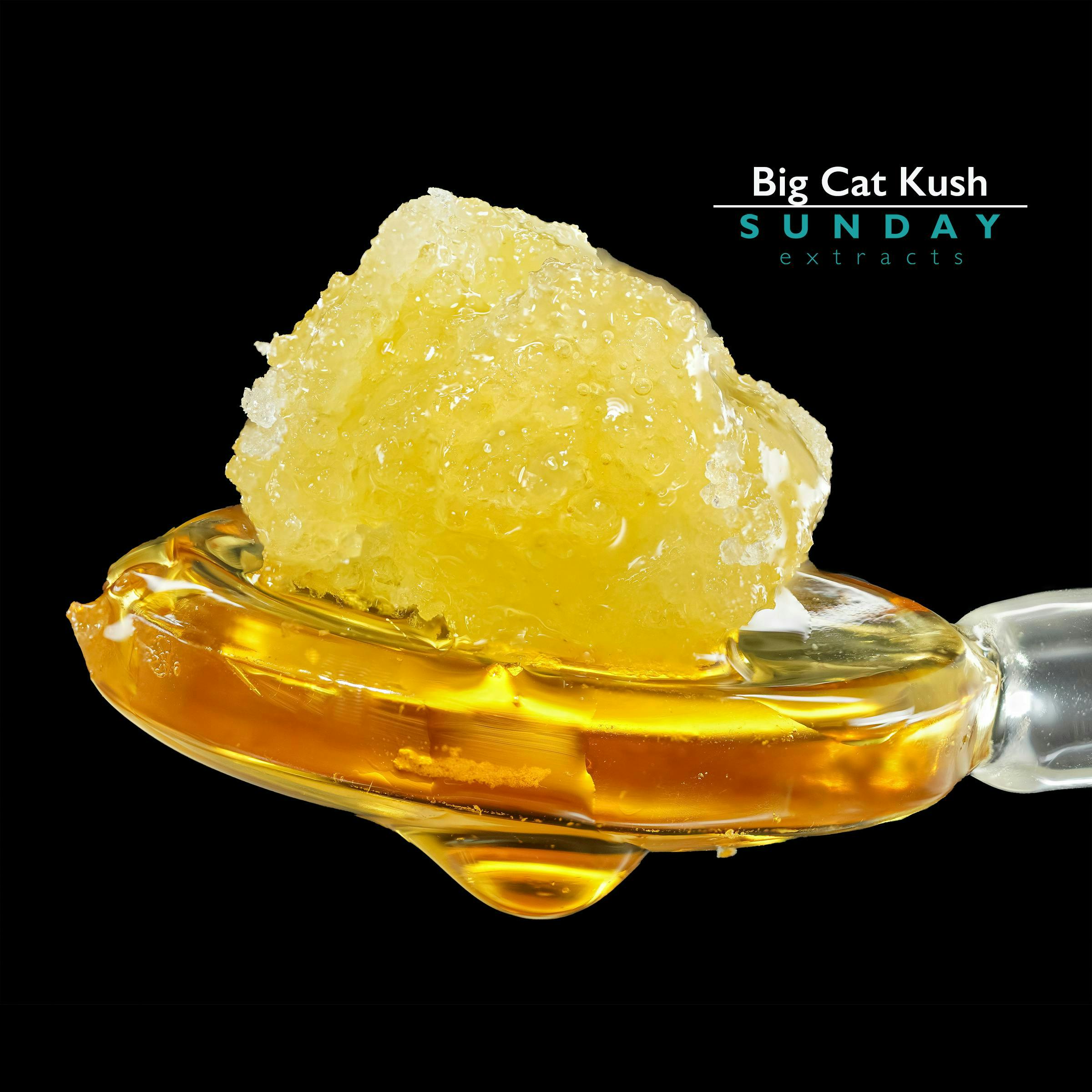 1g Concentrate Big Cat Kush - Sunday Extracts