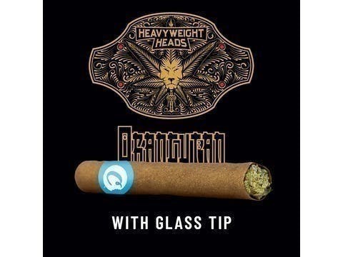 Cookies - Orangutan - Blunt - 2g - Cookies