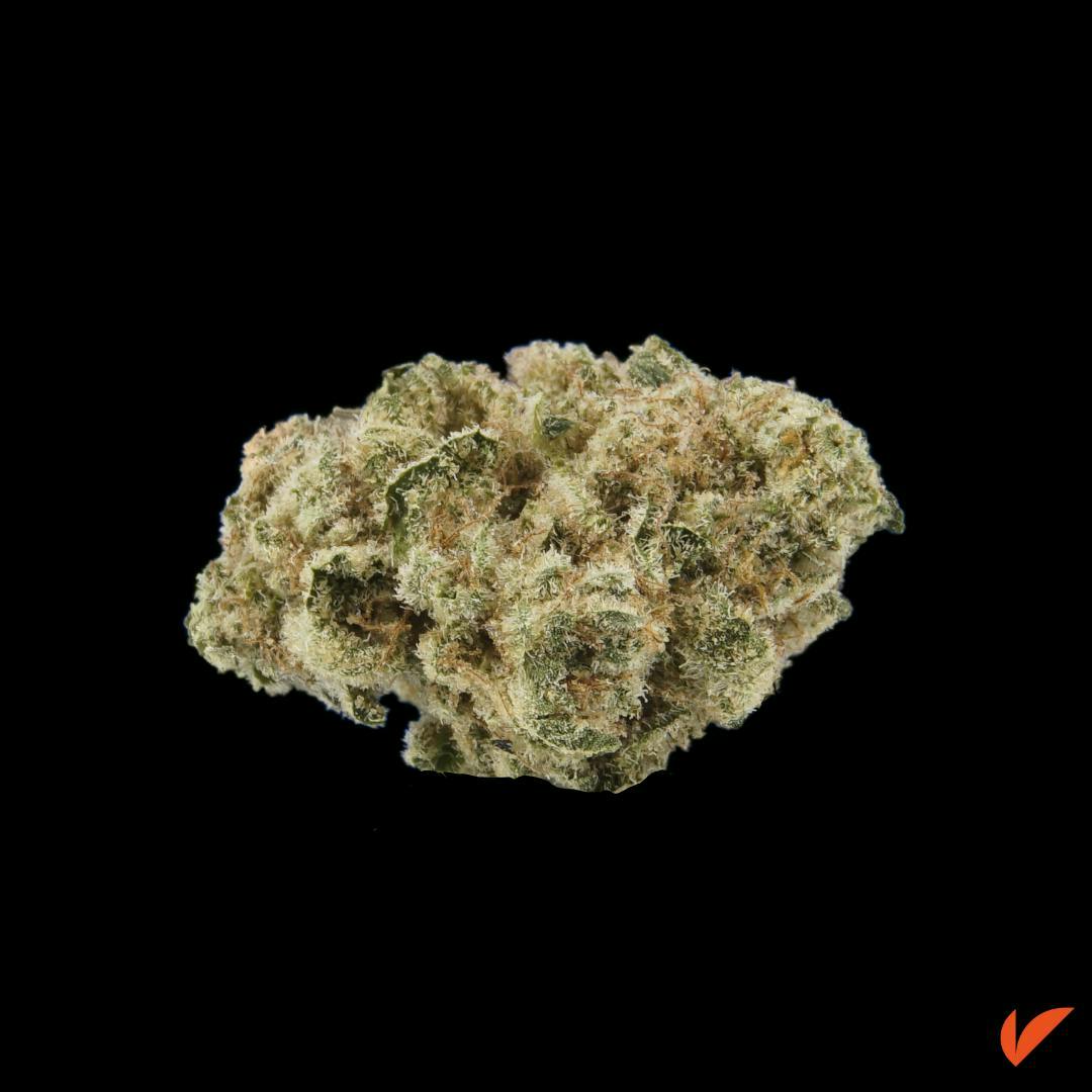 Colin OG - Vertical Cannabis
