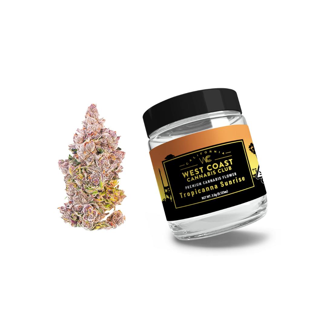WCCC | Tropicana Sunrise - West Coast Cannabis Club
