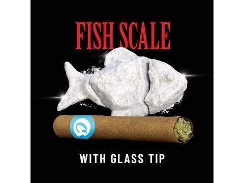 Cookies - Fish Scale - Blunt - 2g - Cookies