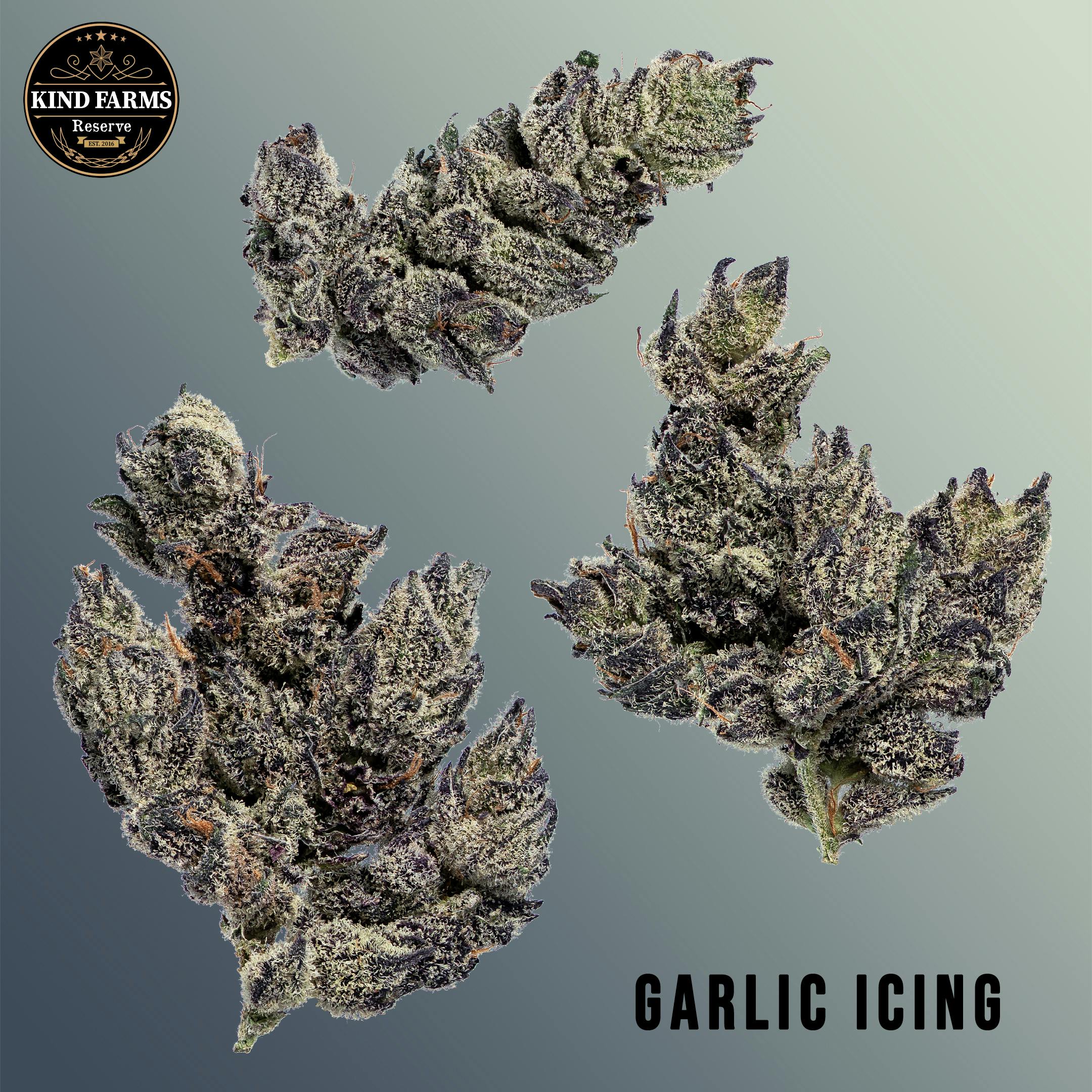 Garlic Icing - Kind Farms Reserve - Kind Farms Reserve
