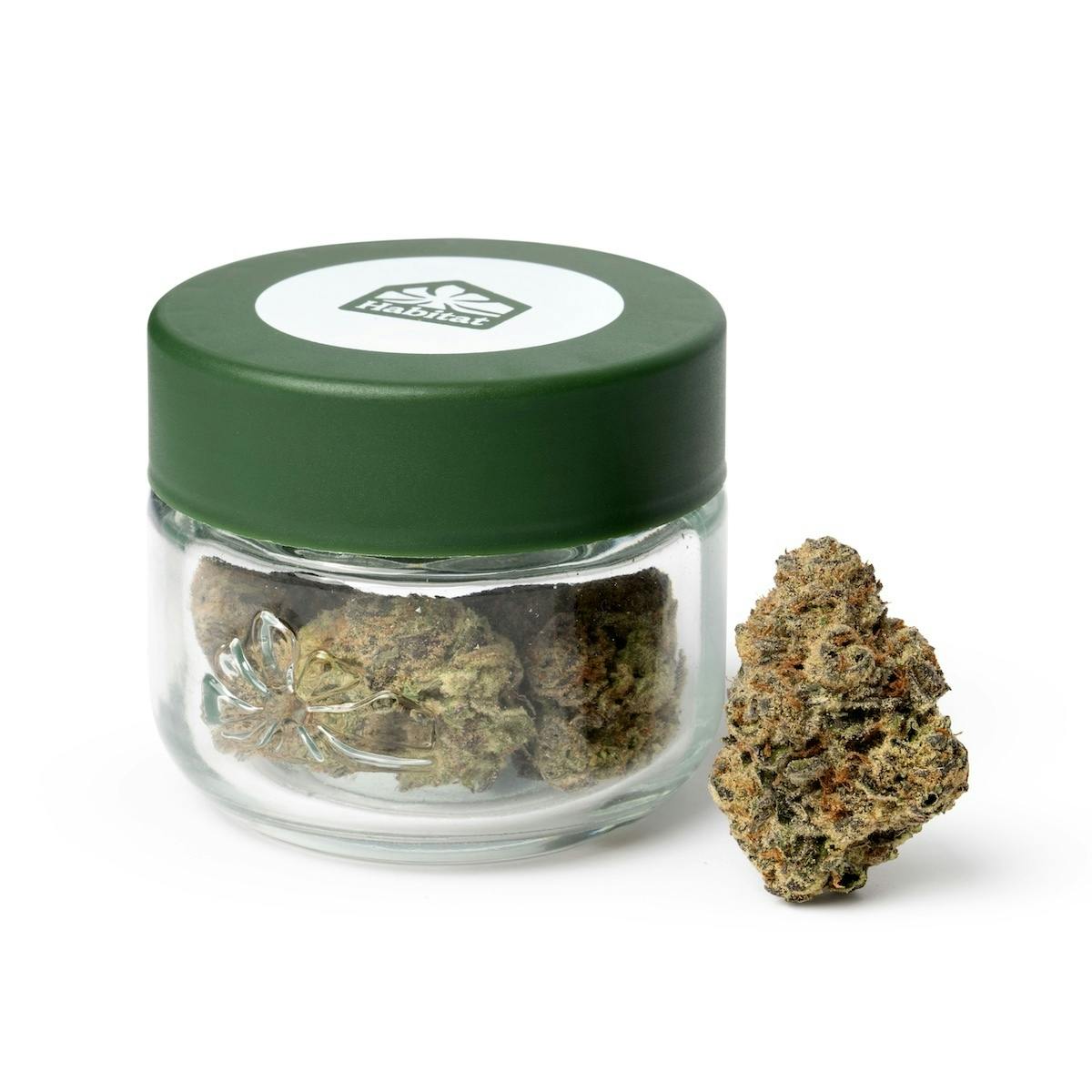 X1 - Tracy, California Marijuana Dispensary