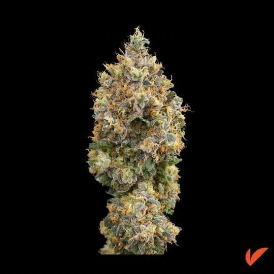 Galactic Grape 1G Pre-Roll - Vertical Cannabis