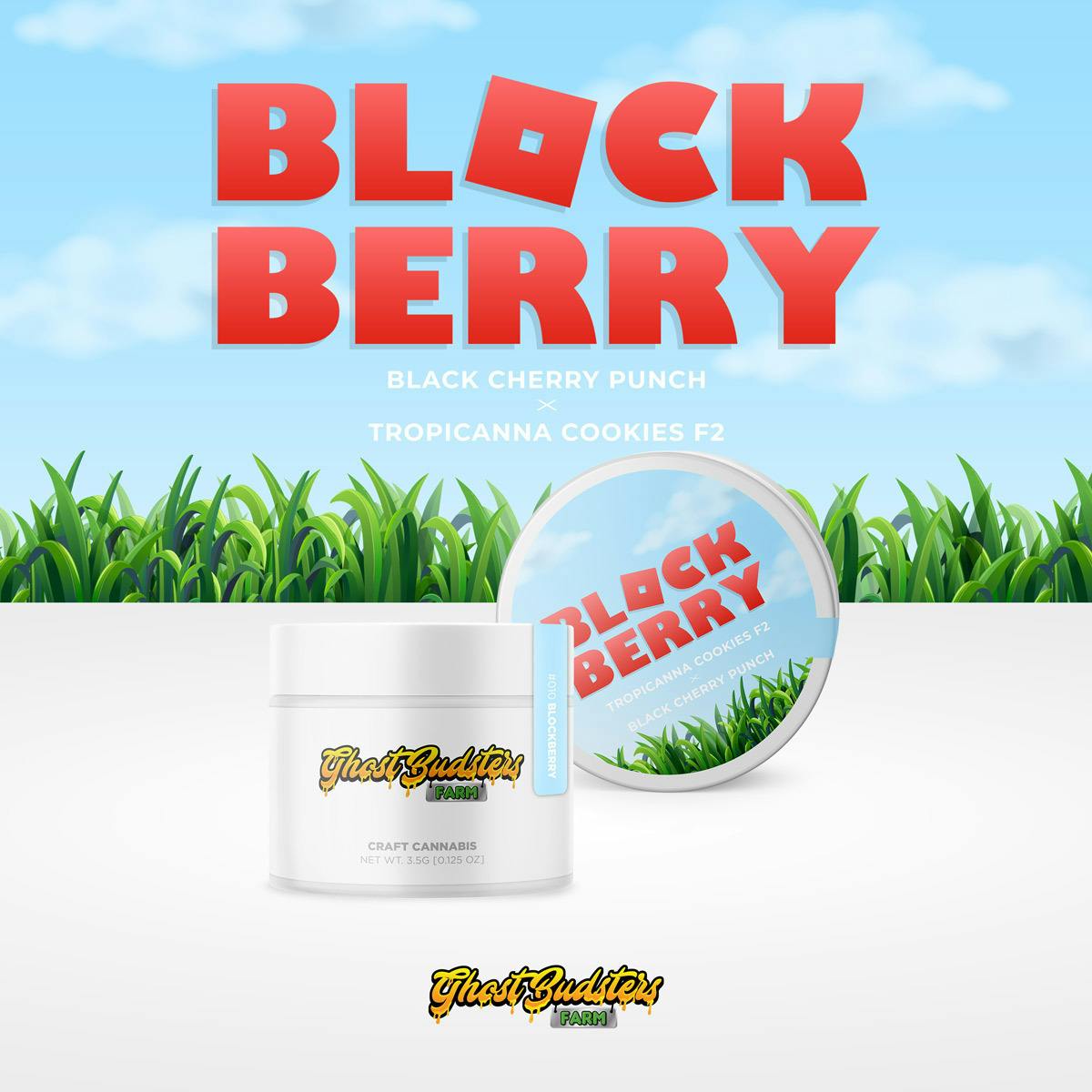 BlockBerry | Pre-Packaged Eighth | GhostBudsters Farm - GhostBudsters Farm