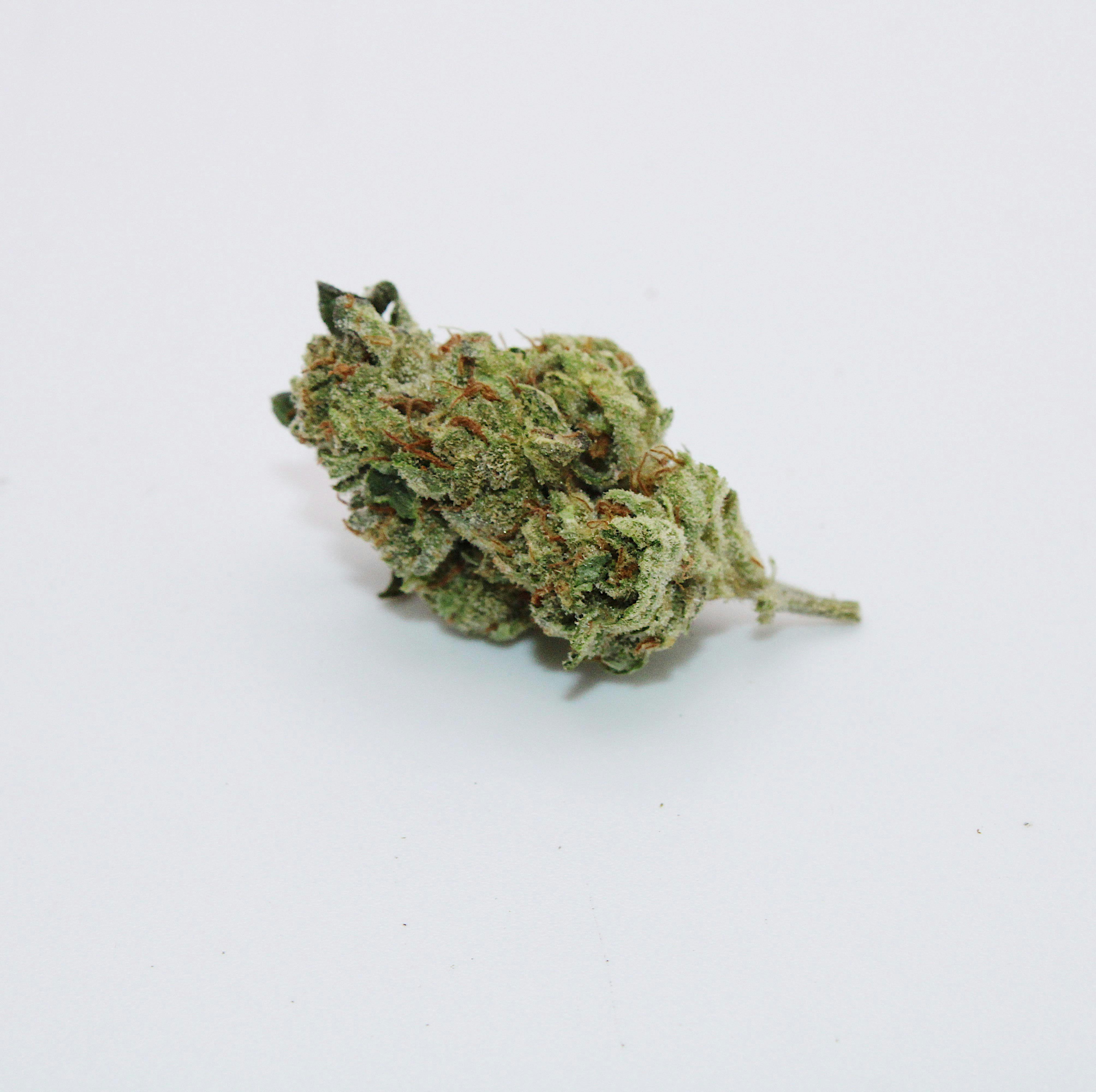 Trusty Transportations Purple Push Pop 1/2 Ounce/14Grams (26% THC, HYBRID) | Weedmaps