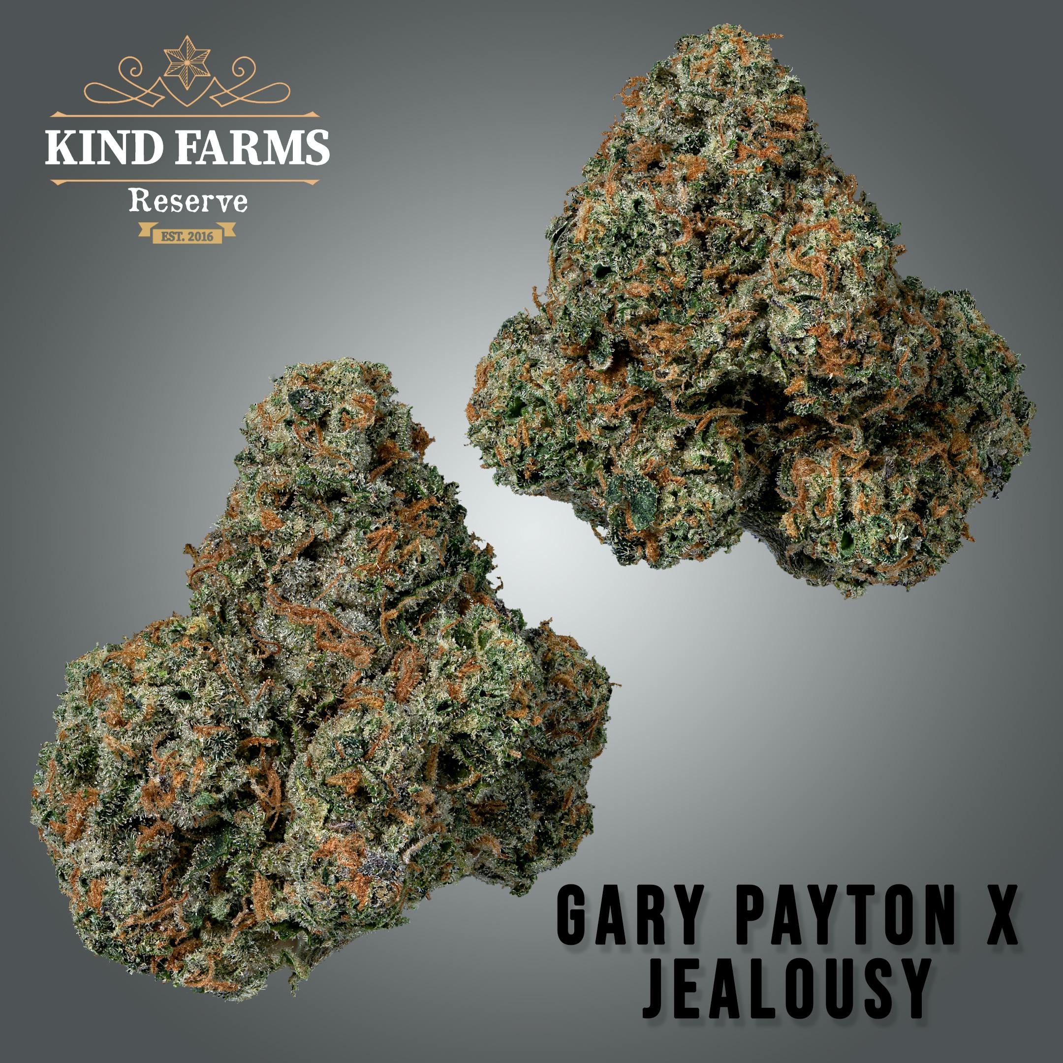 Gary Payton x Jealousy - Kind Farms Reserve - Kind Farms Reserve