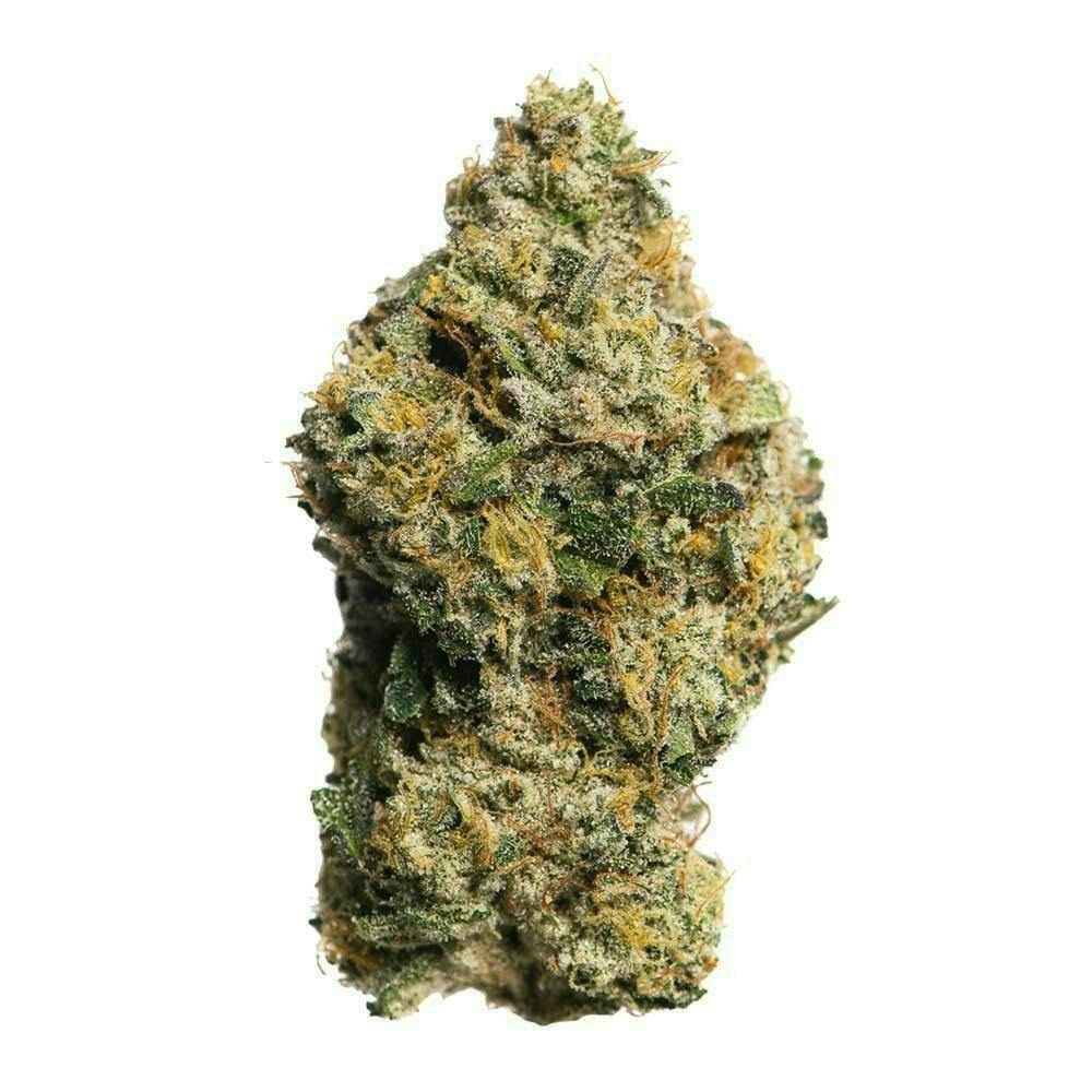 Proper Cannabis - Banana OG | 14g - Proper Cannabis
