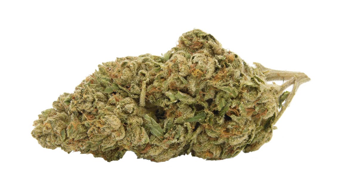 Doc OG - Cannabis Kingdom