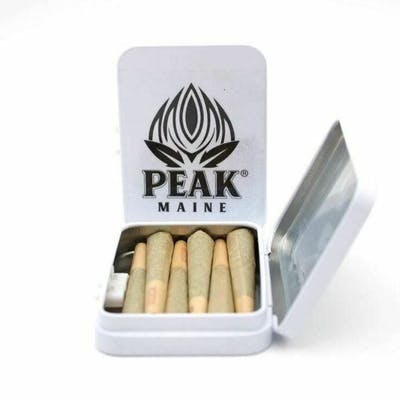 Mister Fuzion - 6 Pack - Peak Maine - Peak Maine Cannabis