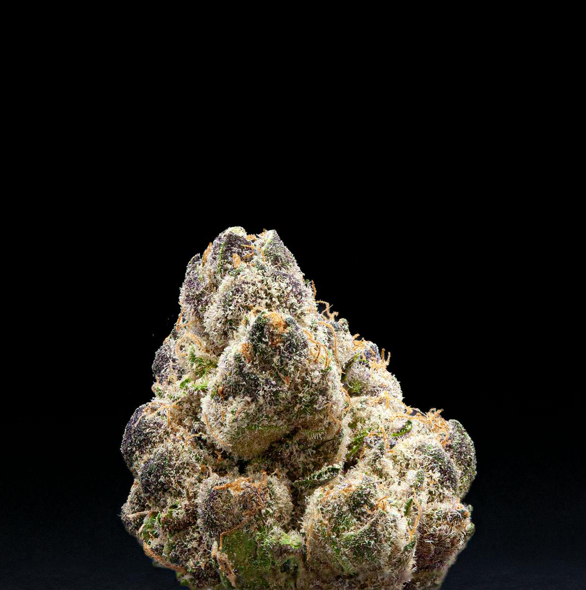 P37 Vice City | Weedmaps