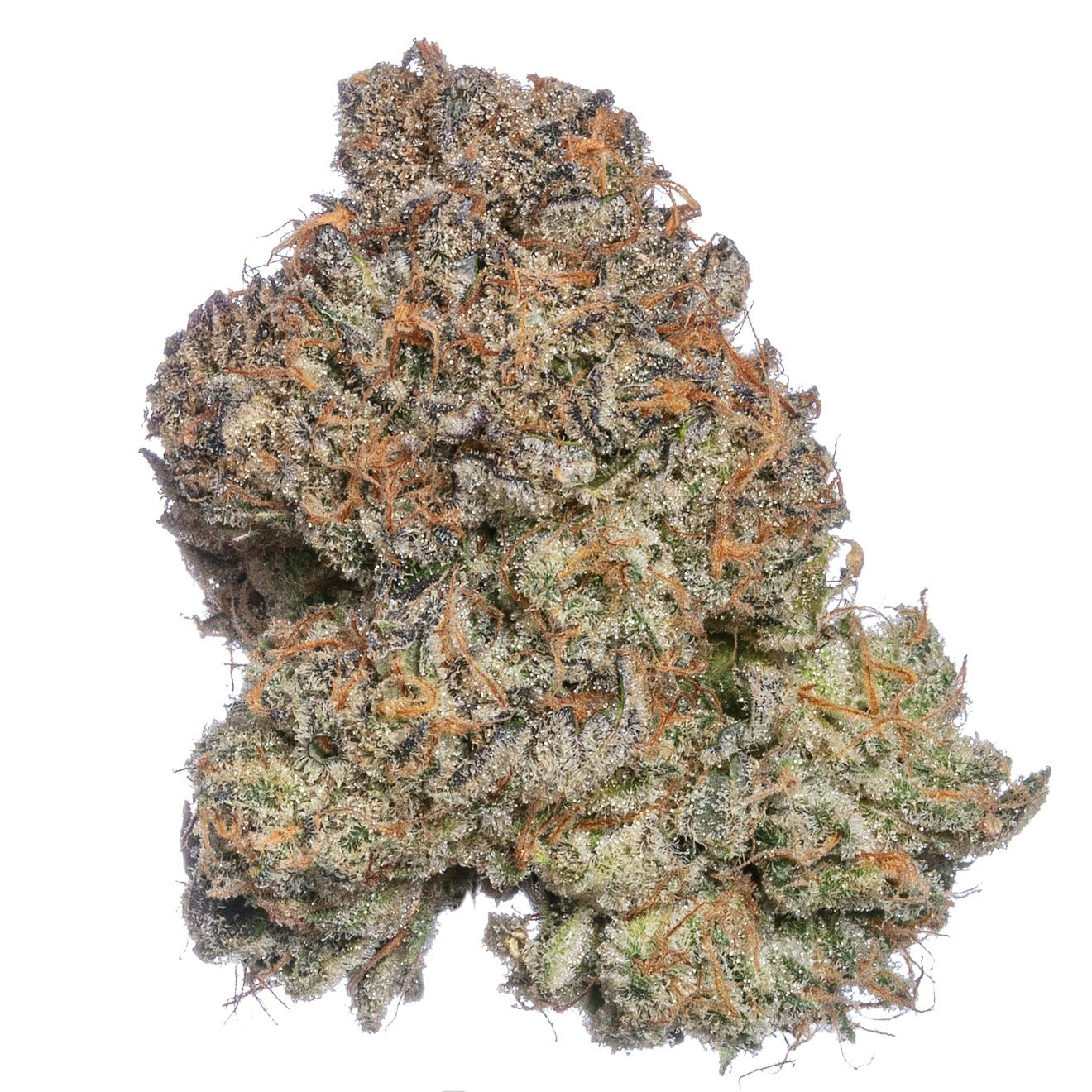 Meraki Gardens | Sweet Thang | Flower - Meraki Gardens