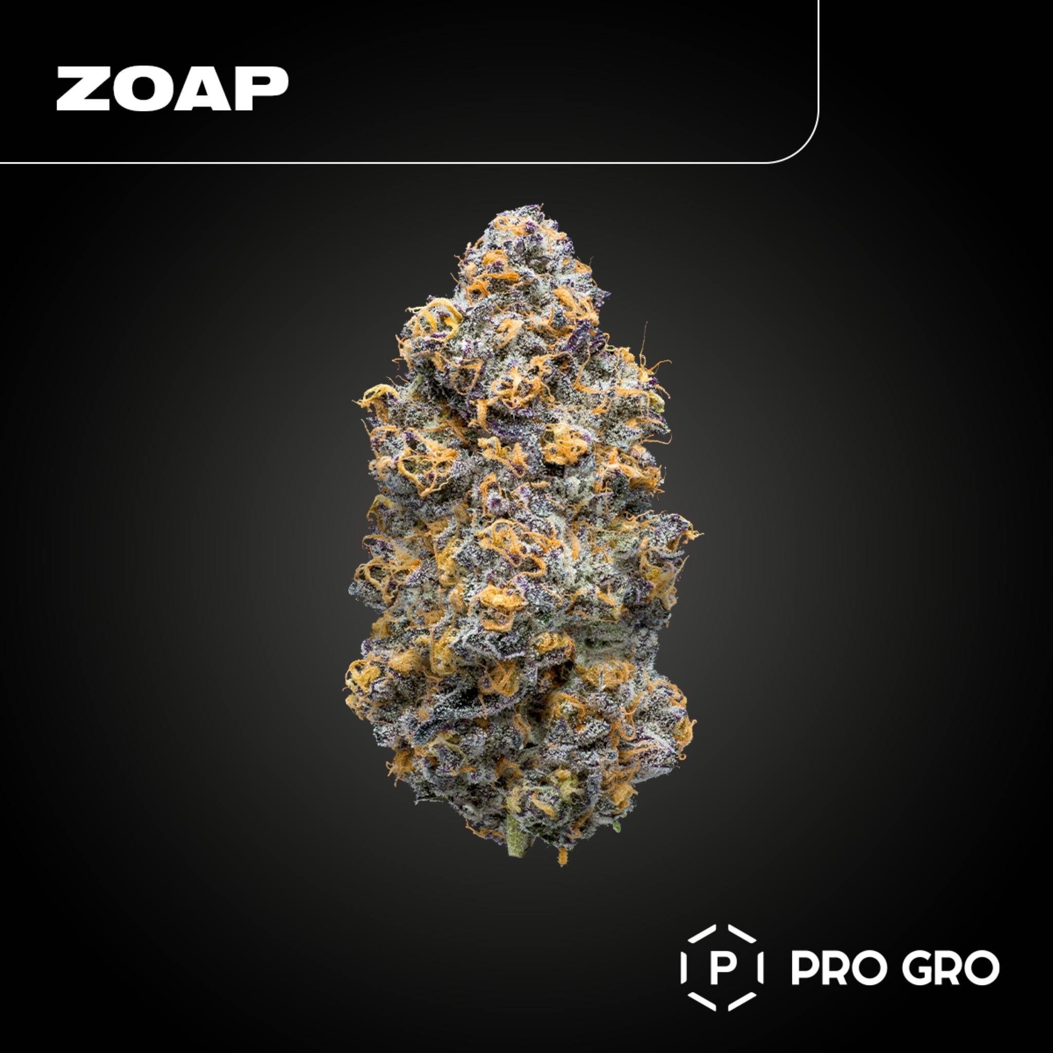 Zoap - Pro Gro