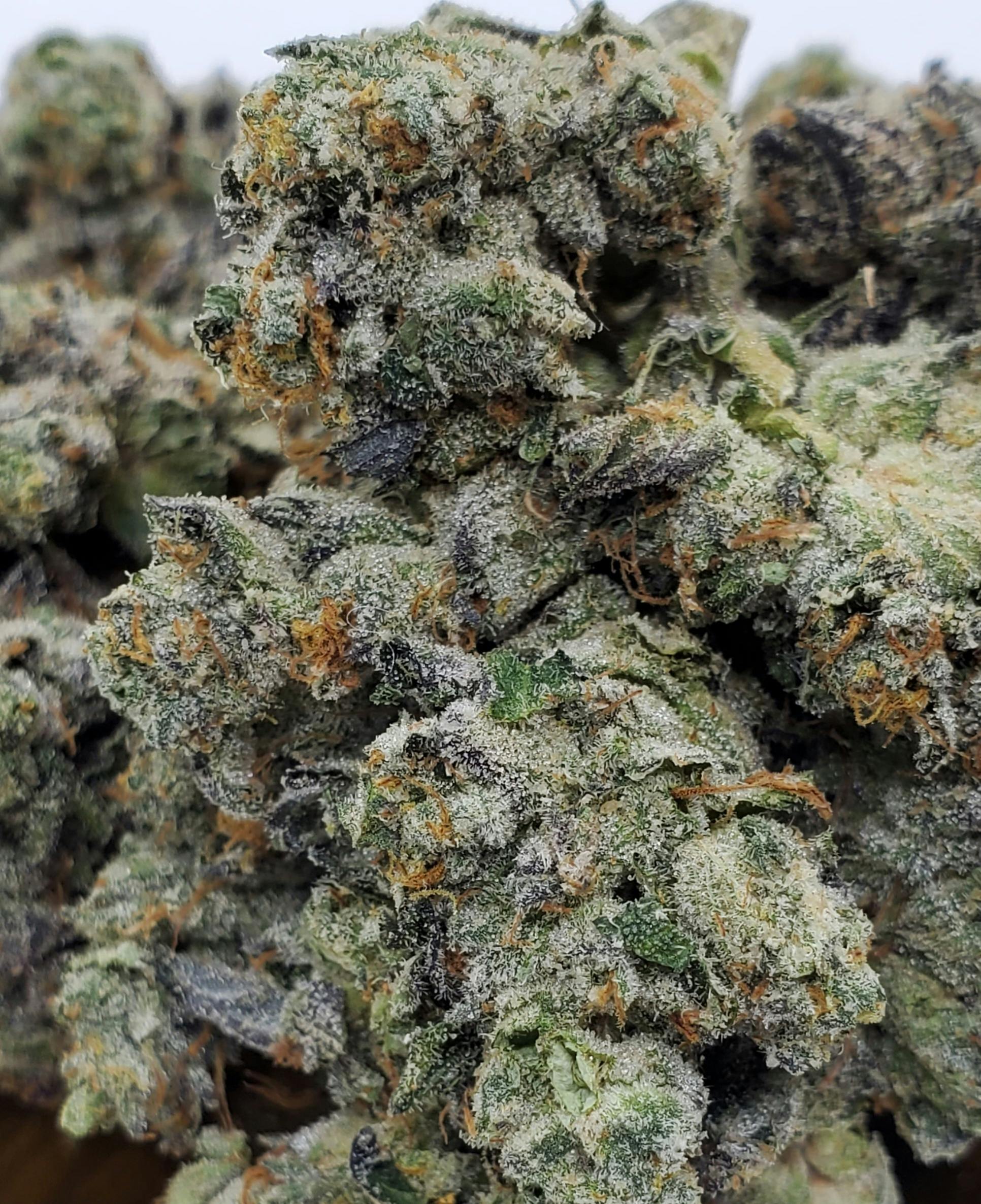 Formula One - World Class Cannabis