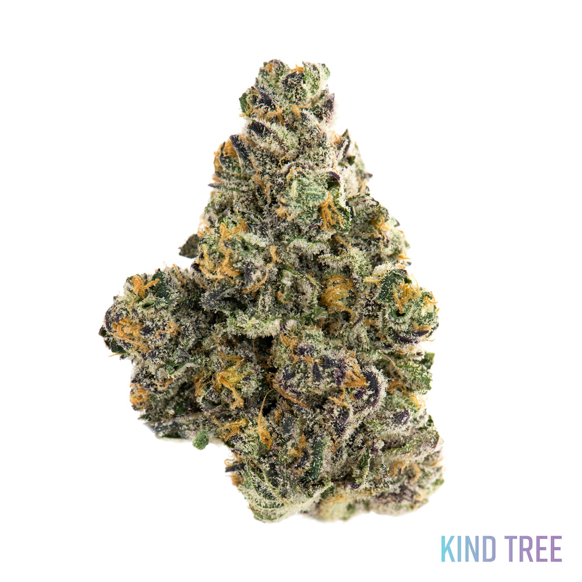 Chem Chillz - Kind Tree
