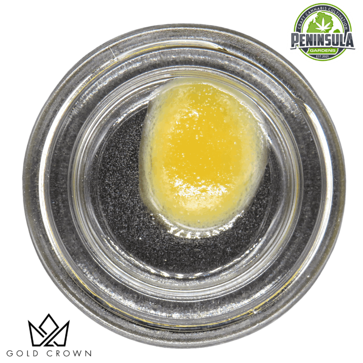 Sugar (1g)- Peninsula Gardens x Gold Crown - Sherb Pie - Gold Crown