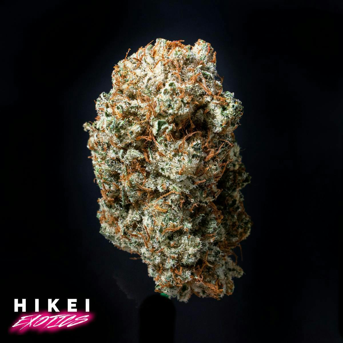 Apples & Bananas Half Zip 14g - Hikei Exotics