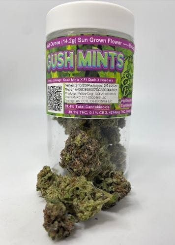 Gush Mints Jar (14g - ½ oz) - Eighth Brother