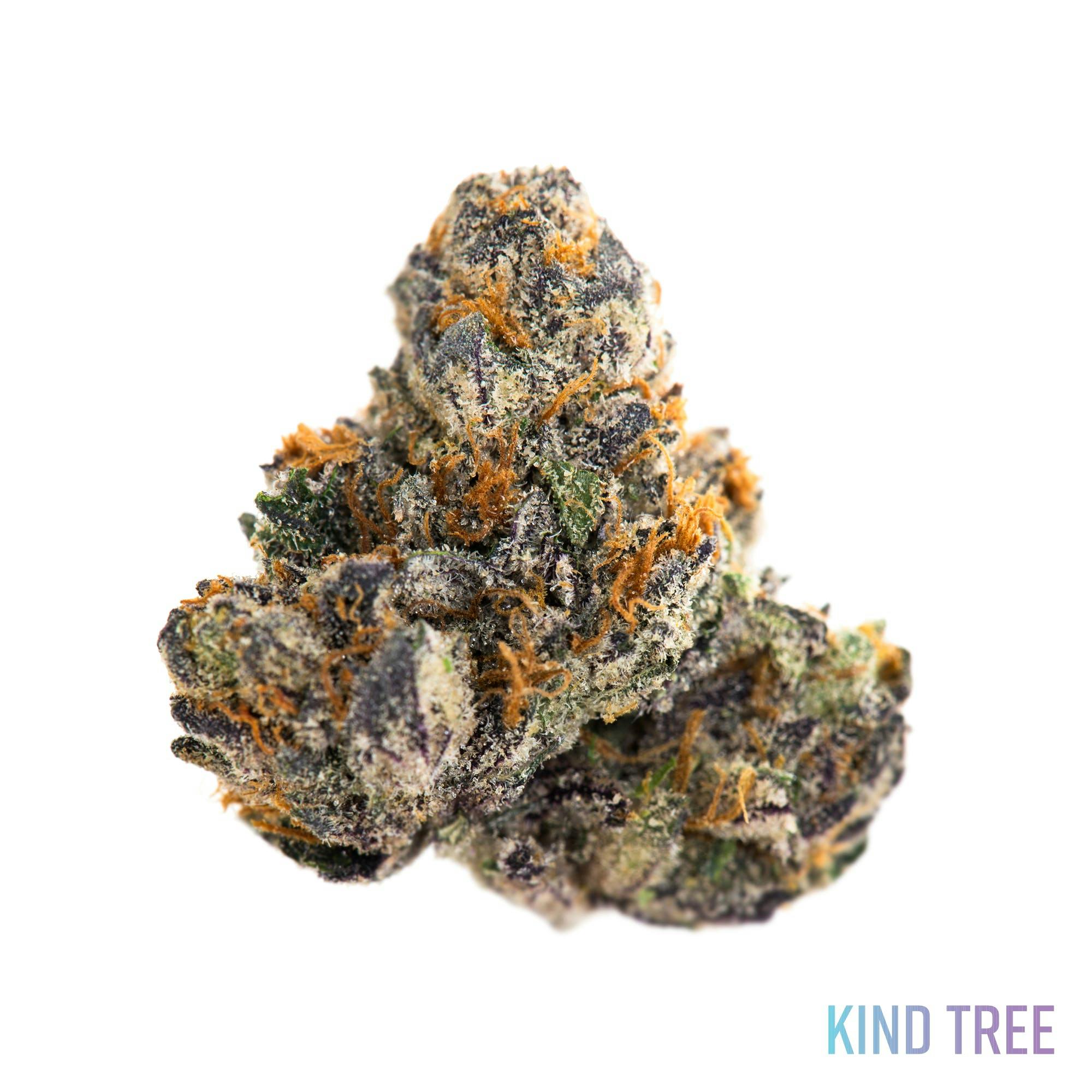 Designer Runtz - Kind Tree