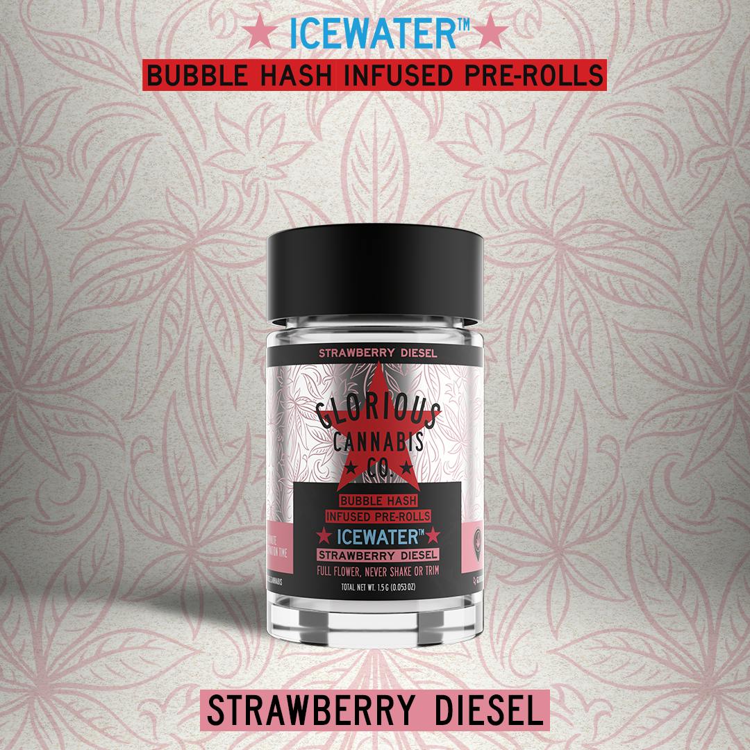 Strawberry Diesel Multipack | Bubble Hash Infused | Glorious Cannabis ...