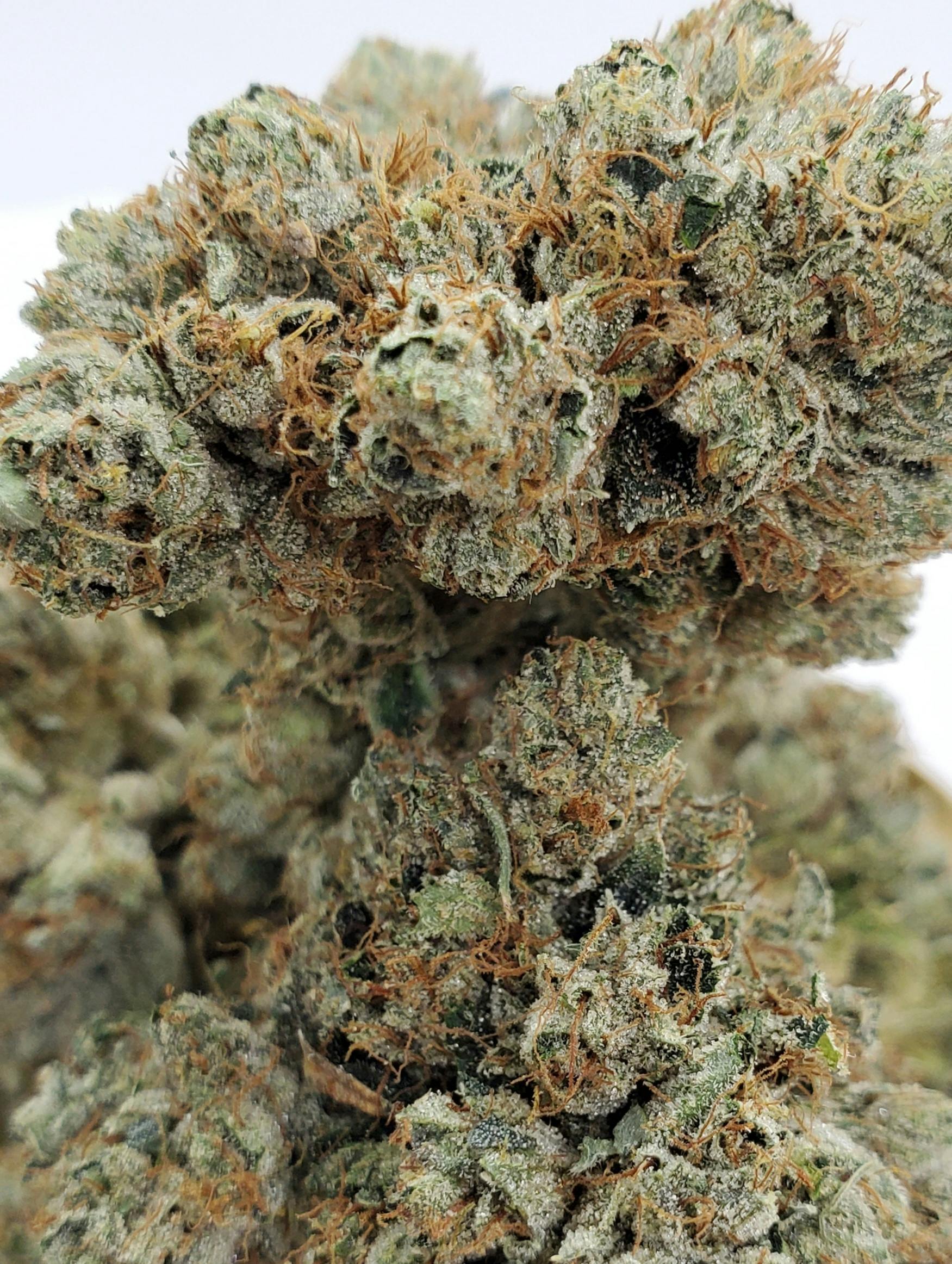 Superman OG - World Class Cannabis