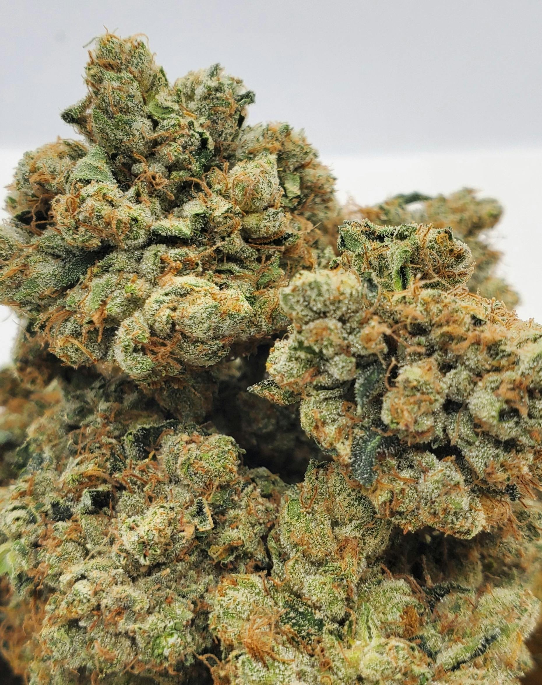 White Walker OG - World Class Cannabis