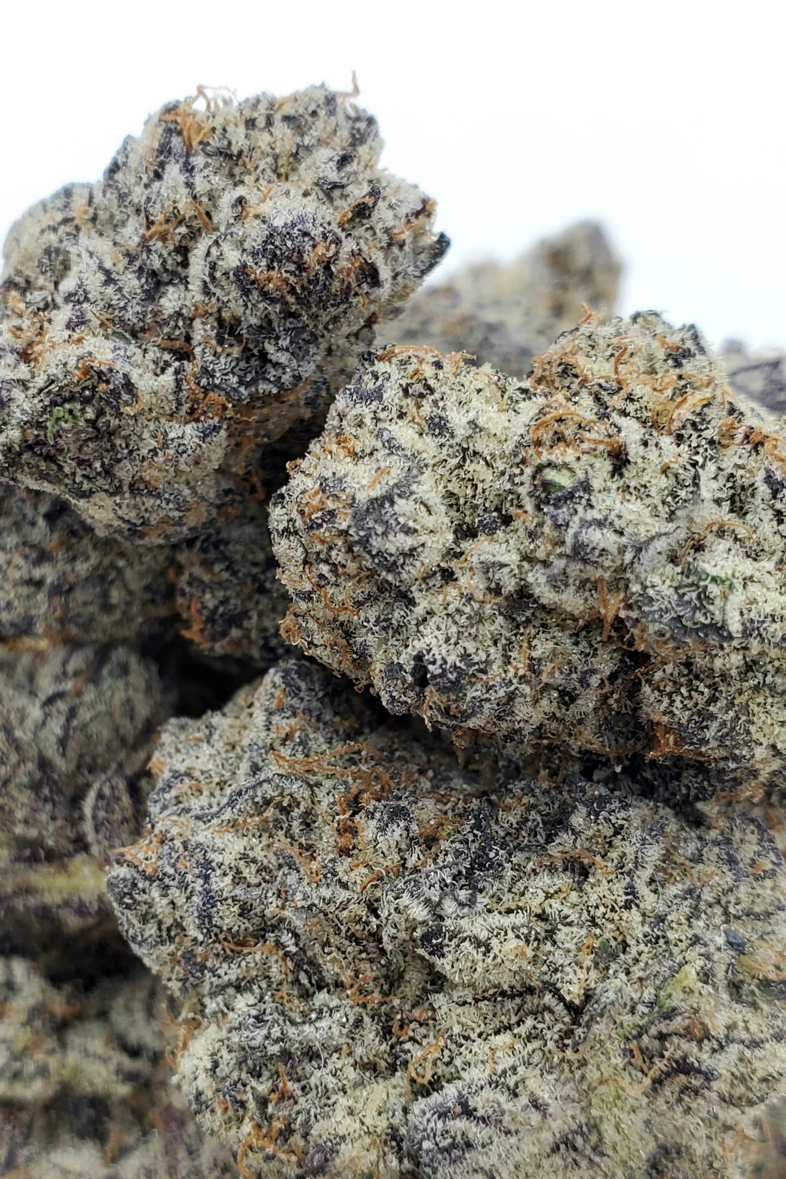 Hawaiian Cookies - World Class Cannabis