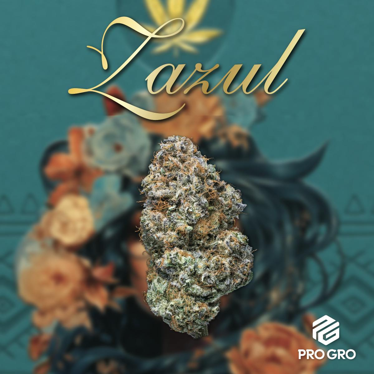 Zazul - Pro Gro