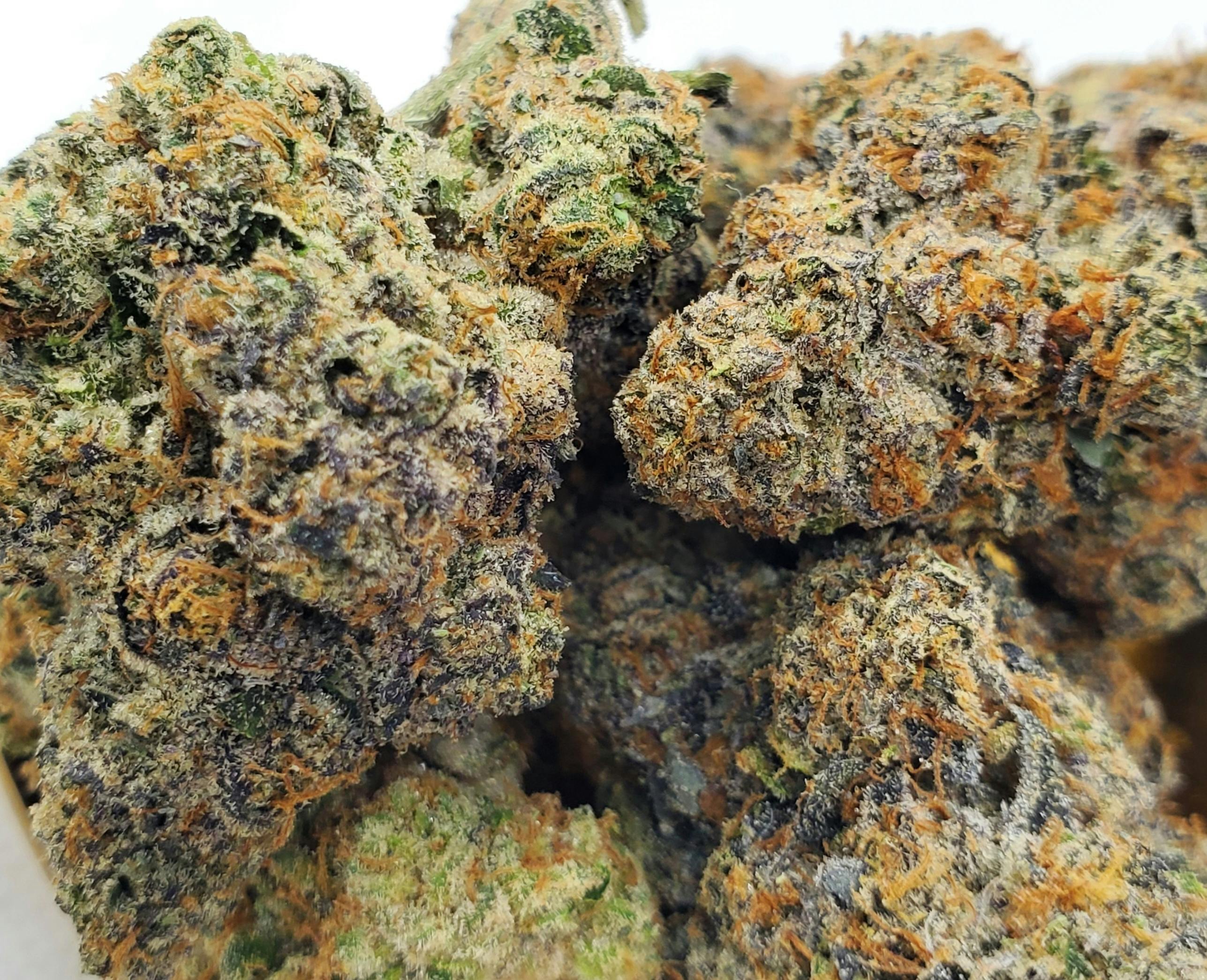 Animal Cookie - World Class Cannabis