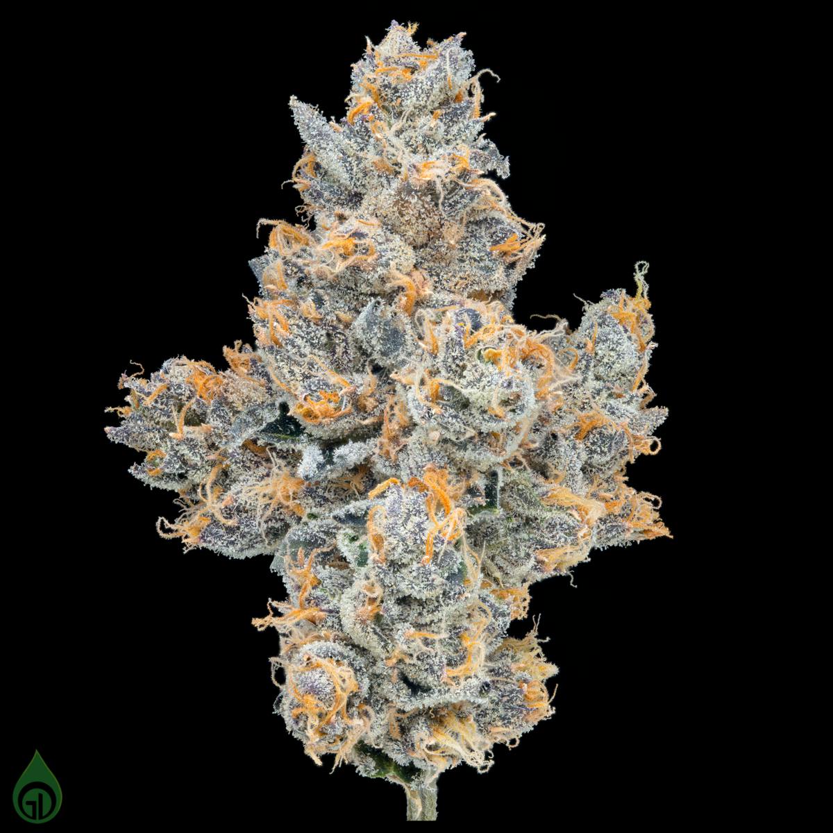 GDL Black Label Flower (14g) | Blue Apricot - Green Dot Labs GDL Black Label Flower (14g) | Blue Apricot - Green Dot Labs