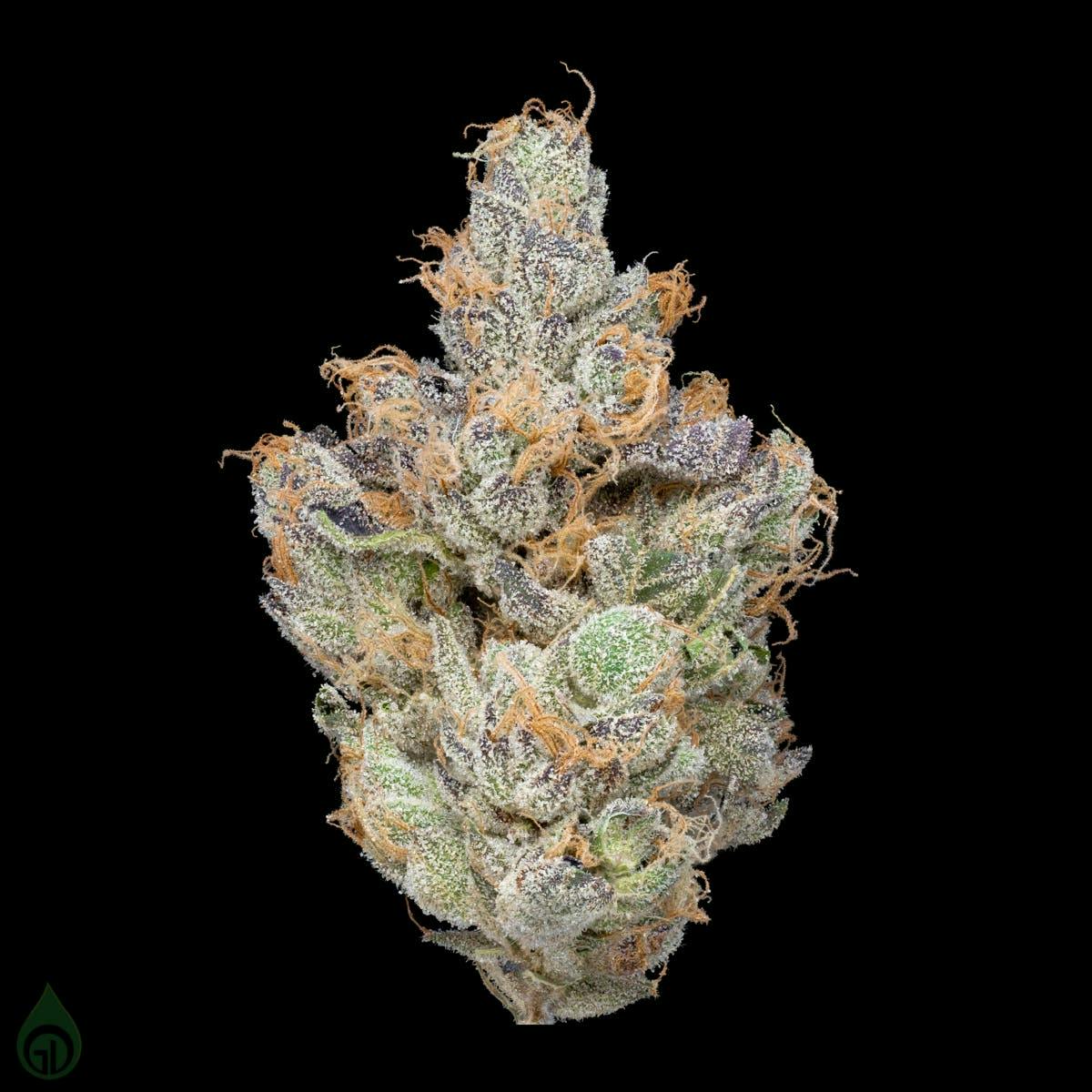 GDL Black Label Flower (3.5g) | Picasso - Green Dot Labs GDL Black Label Flower (3.5g) | Picasso - Green Dot Labs