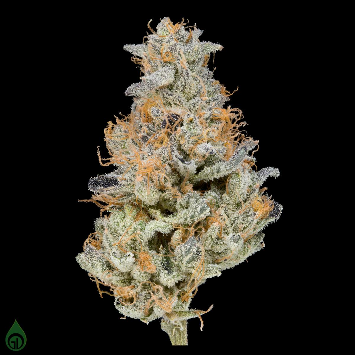 GDL Black Label Flower (7g) | ROYGBIV Orange - Green Dot Labs GDL Black Label Flower (7g) | ROYGBIV Orange - Green Dot Labs
