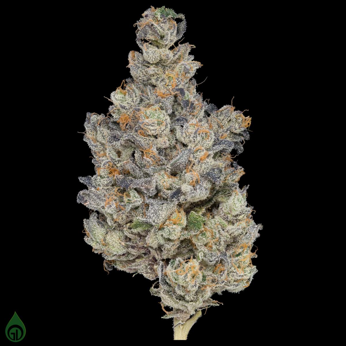 GDL Black Label Flower (7g) | ROYGBIV Red - Green Dot Labs GDL Black Label Flower (7g) | ROYGBIV Red - Green Dot Labs