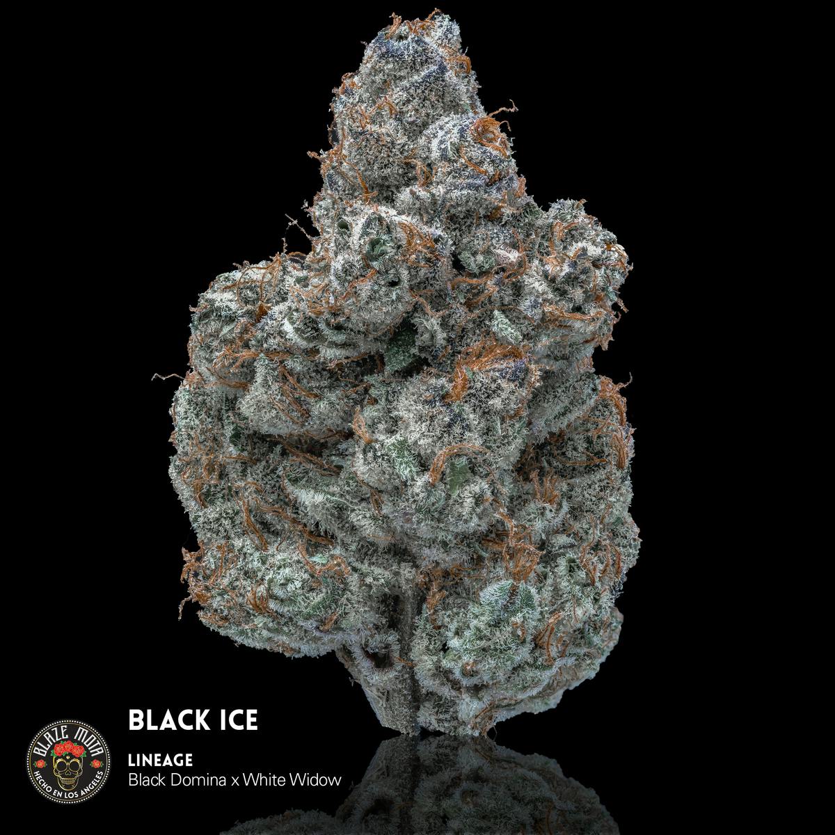 Black Ice 3.5g - Blaze Mota