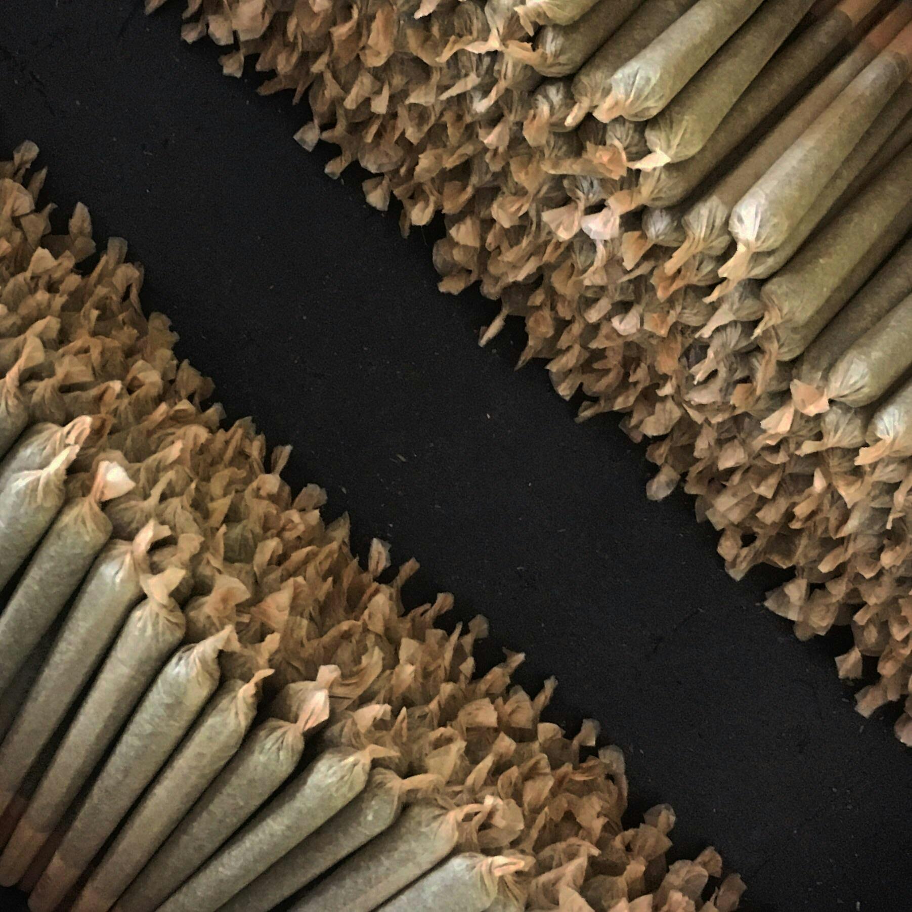 30x Pack of Pre-Rolls: Mendo Mints - Peak Maine - Peak Maine Cannabis