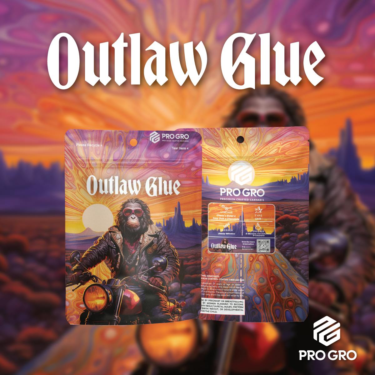 Outlaw Glue Pre-Pack | 3.5g - Pro Gro